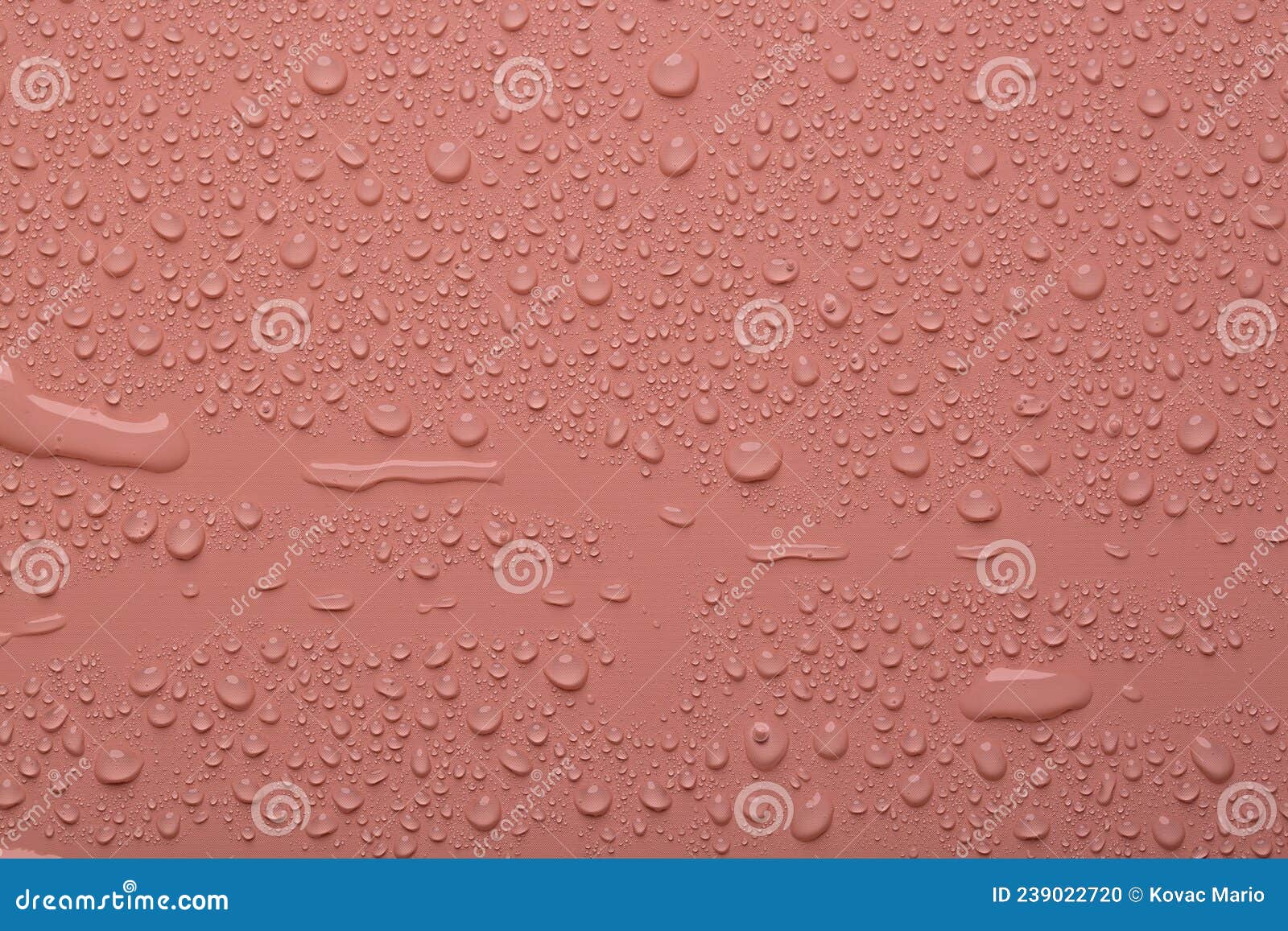 Water Drops on Coral Color Surface Stock Photo - Image of background ...