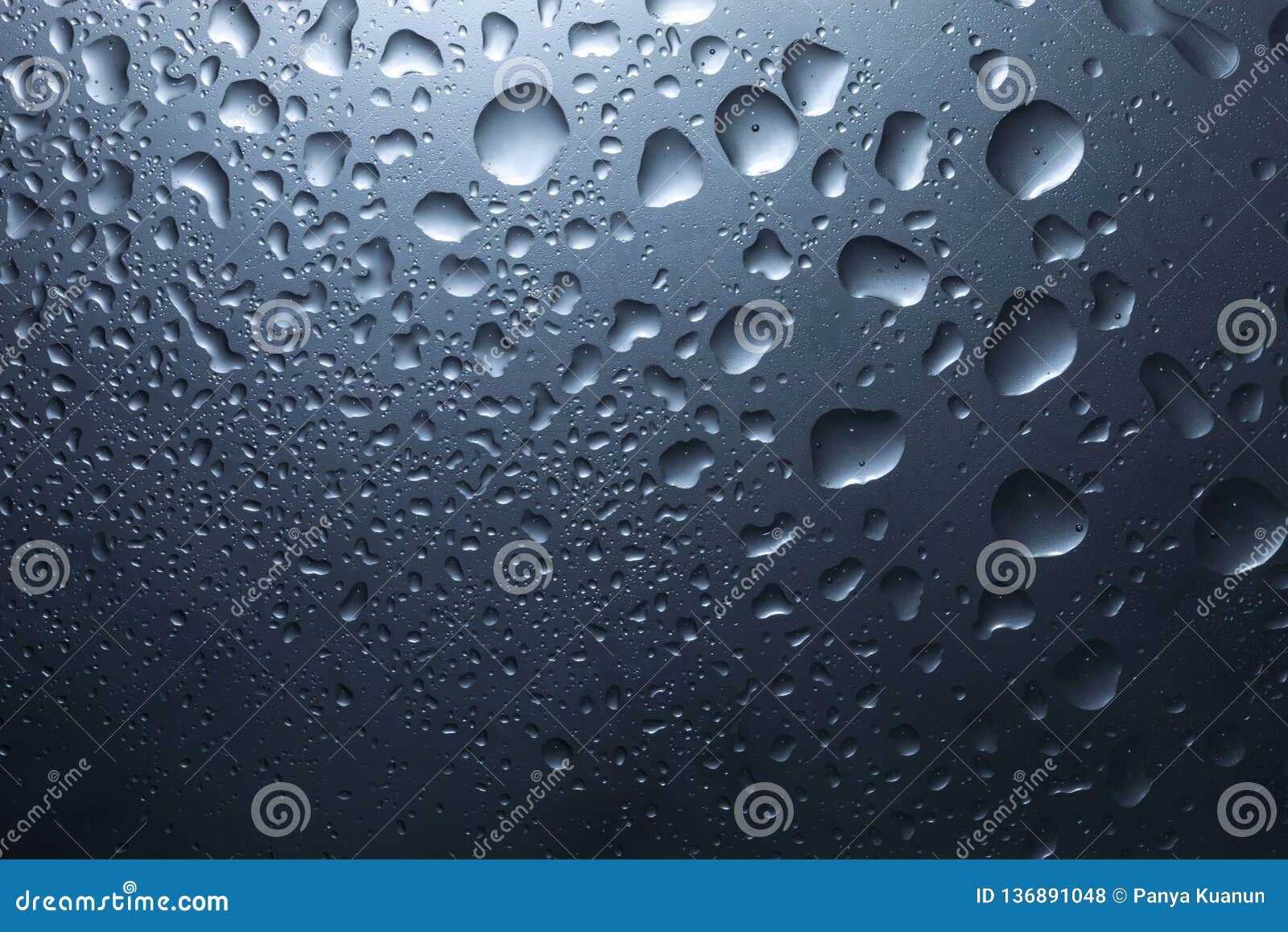 Water Drops on Dark Wall and Light, Water Drop for Background and ...