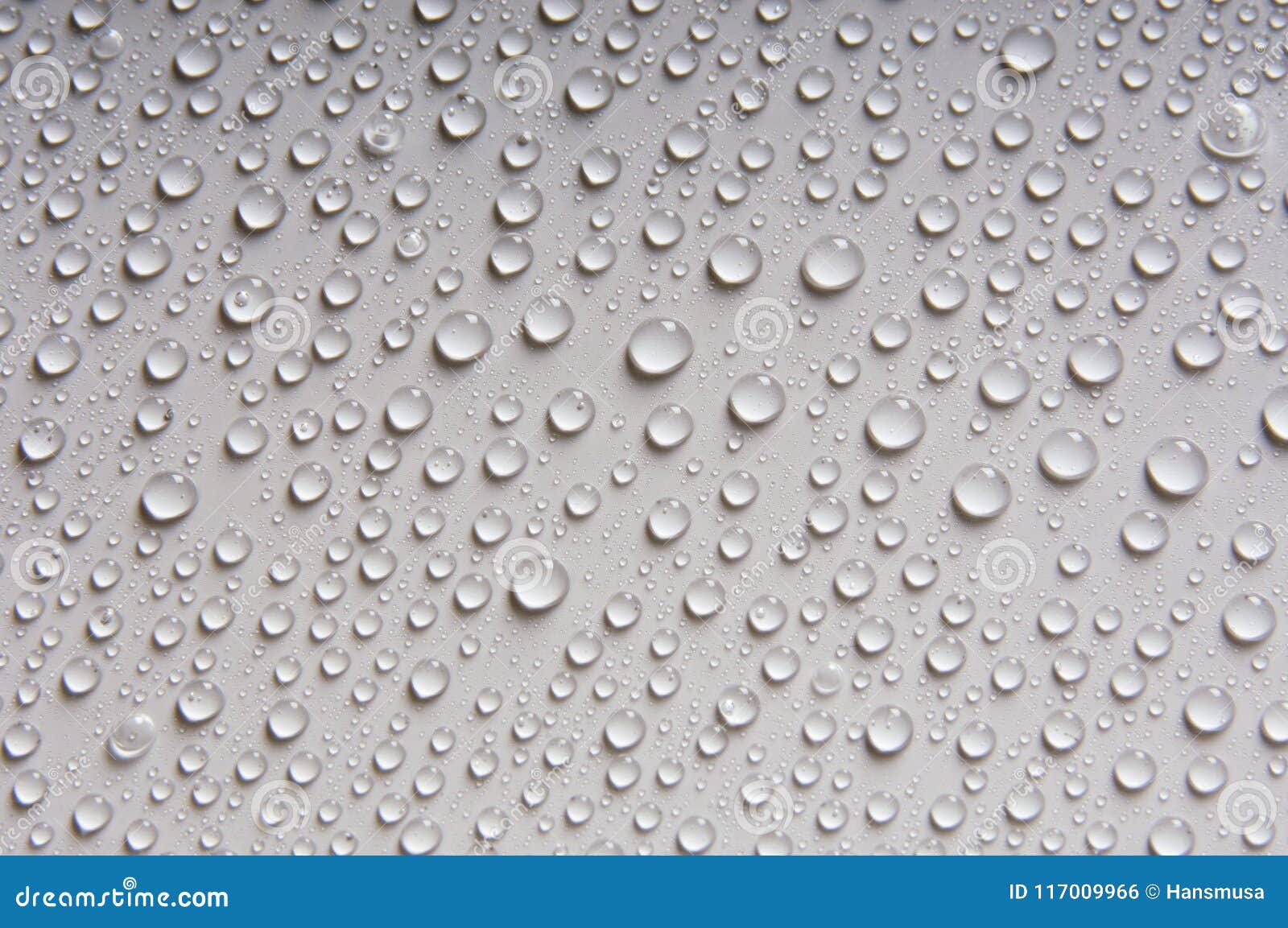 Water Drops on a White Background Stock Photo - Image of drops, clean ...