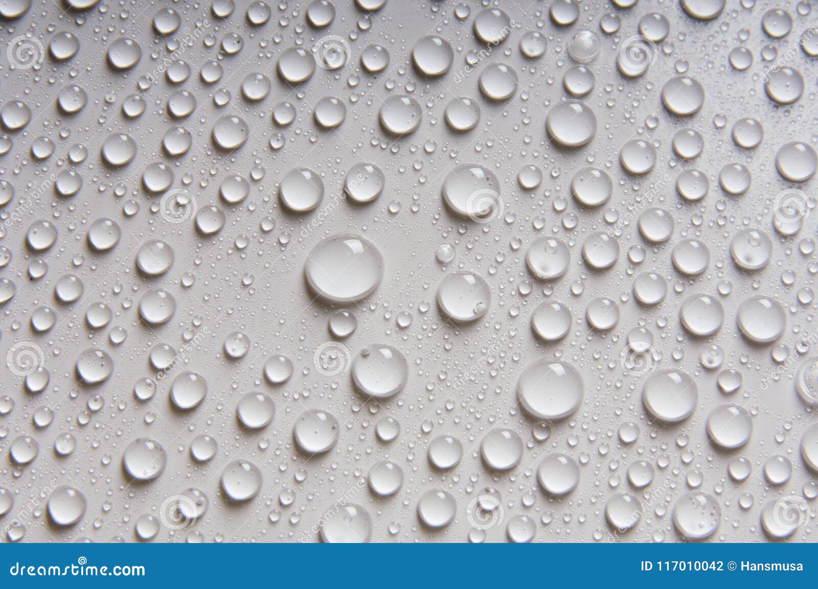 Water Drops White Background