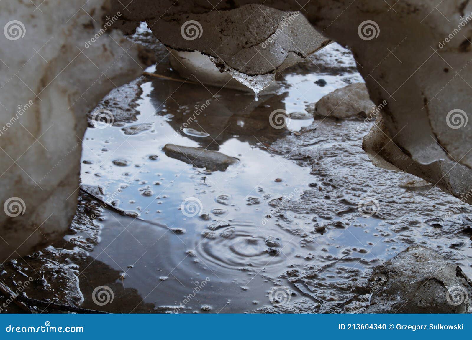 Water Drops from Dissolving Ice Stock Photo - Image of floe, spring ...