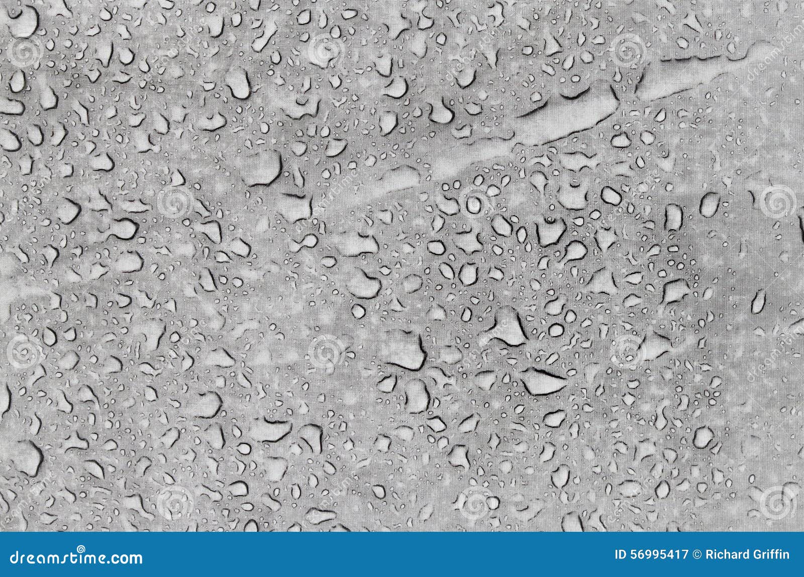 Water drops stock image. Image of mesh, rain, water, material - 56995417