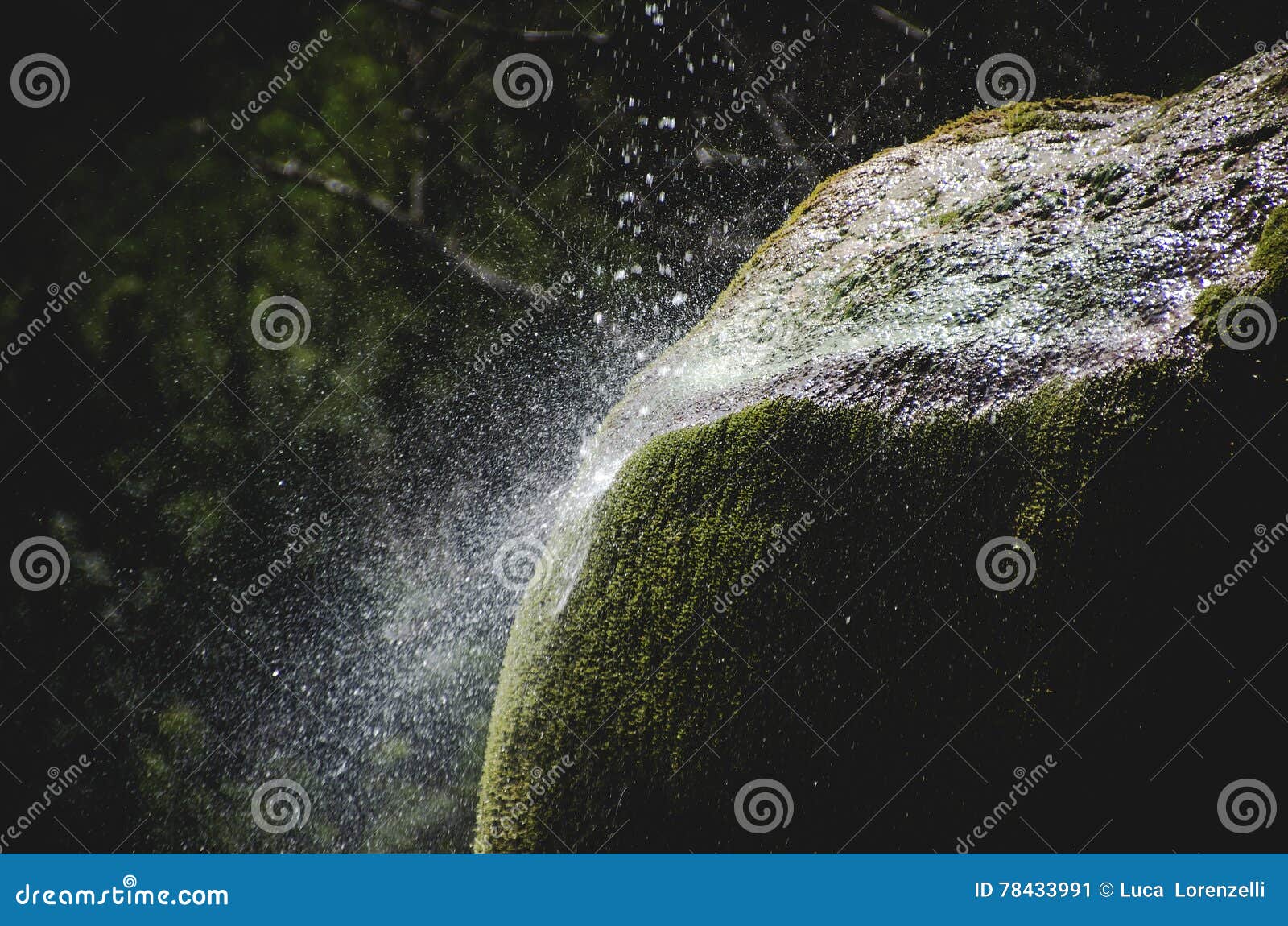Water drops fall moss stock image. Image of downhill - 78433991