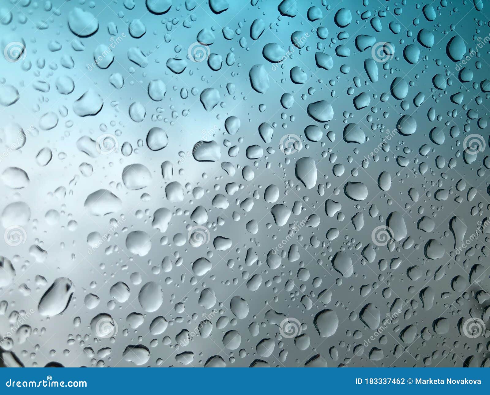 Water Drops on Glass in Blue Gradient Stock Photo - Image of vector ...