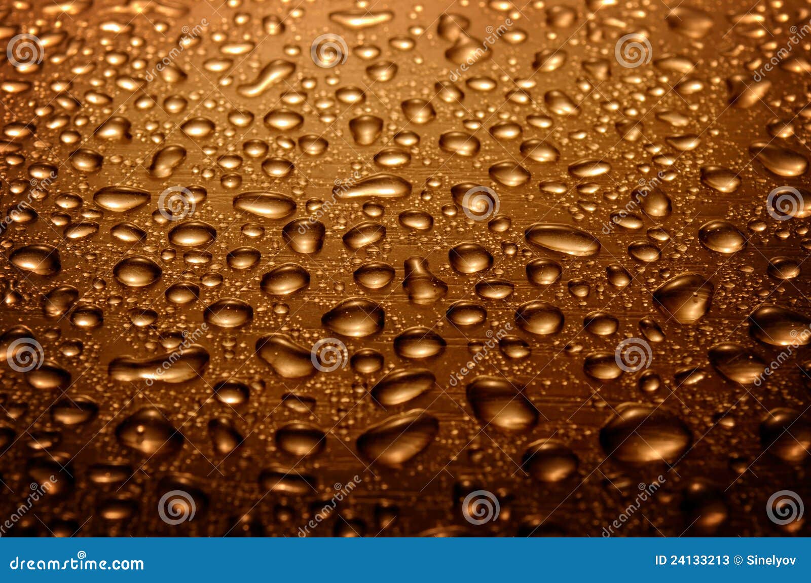 Brown Drops Hd Desktop