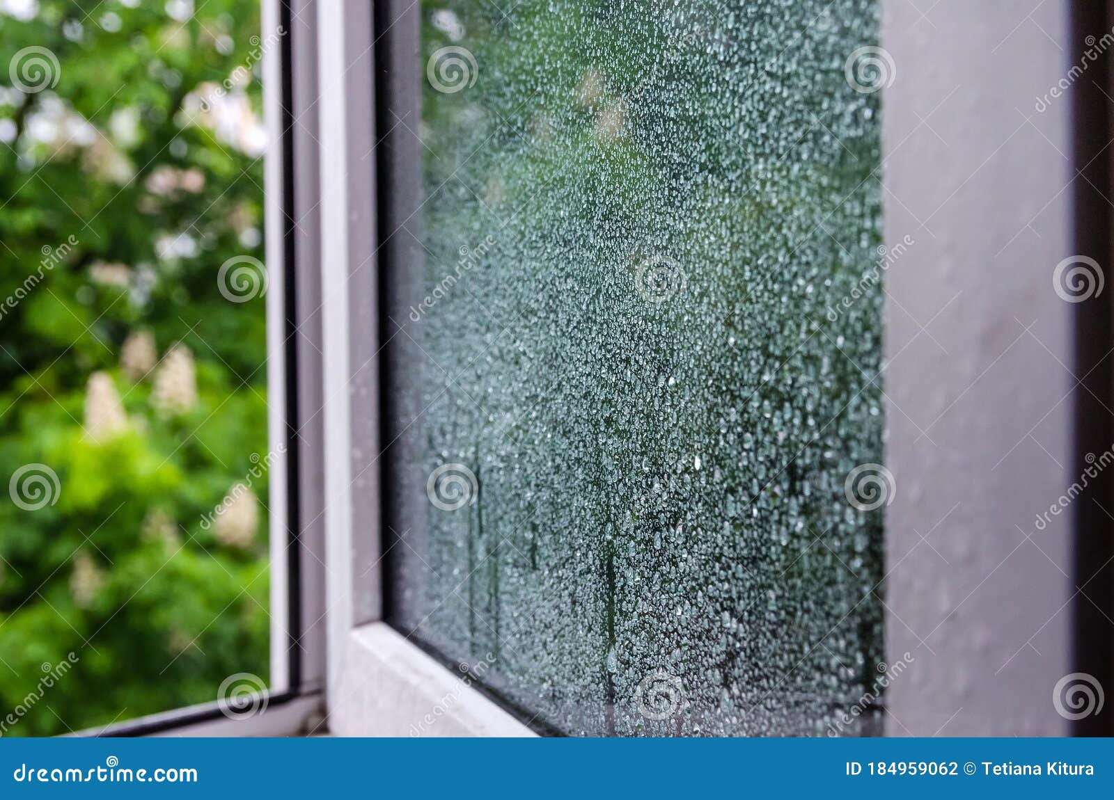 Water Drops on Glass Window Stock Photo - Image of rainy, rain: 184959062