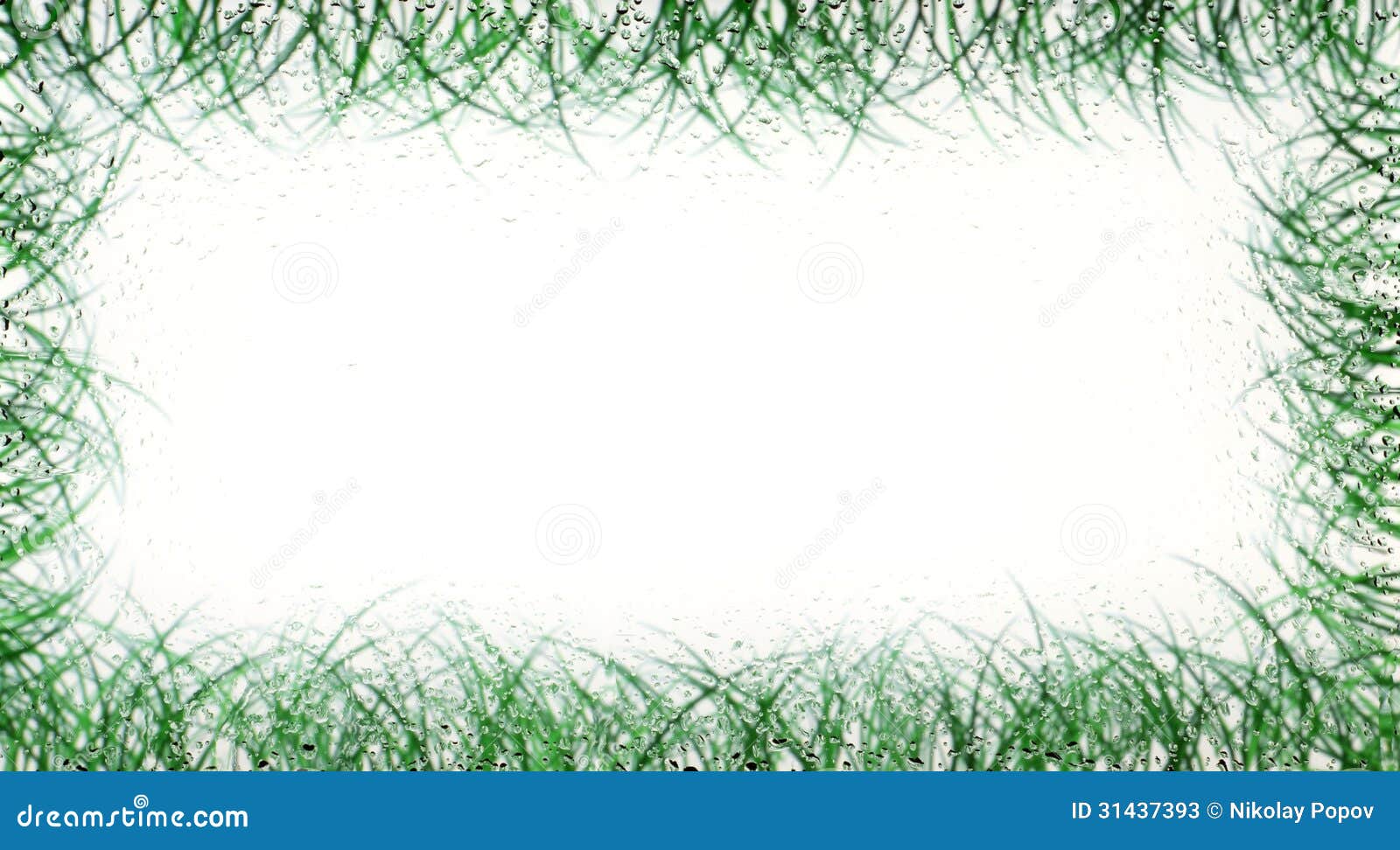Water drops and grass stock image. Image of spotted, backgrounds - 31437393