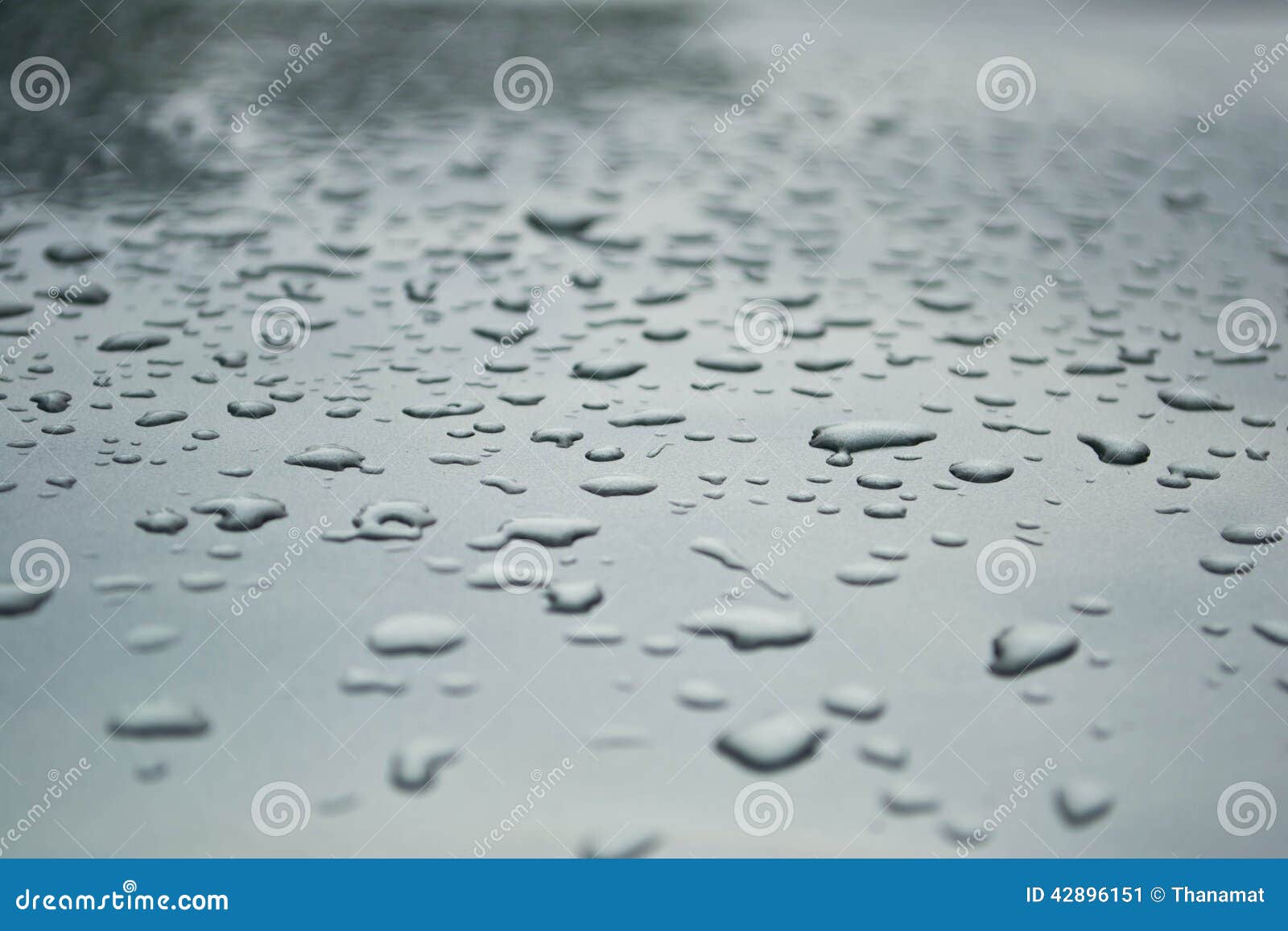 Water Drops on Gray Background Stock Image - Image of background, calm ...