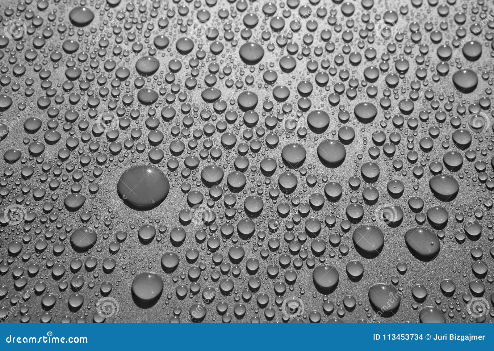 Water Drops on Gray Background Stock Photo - Image of environment, aqua ...