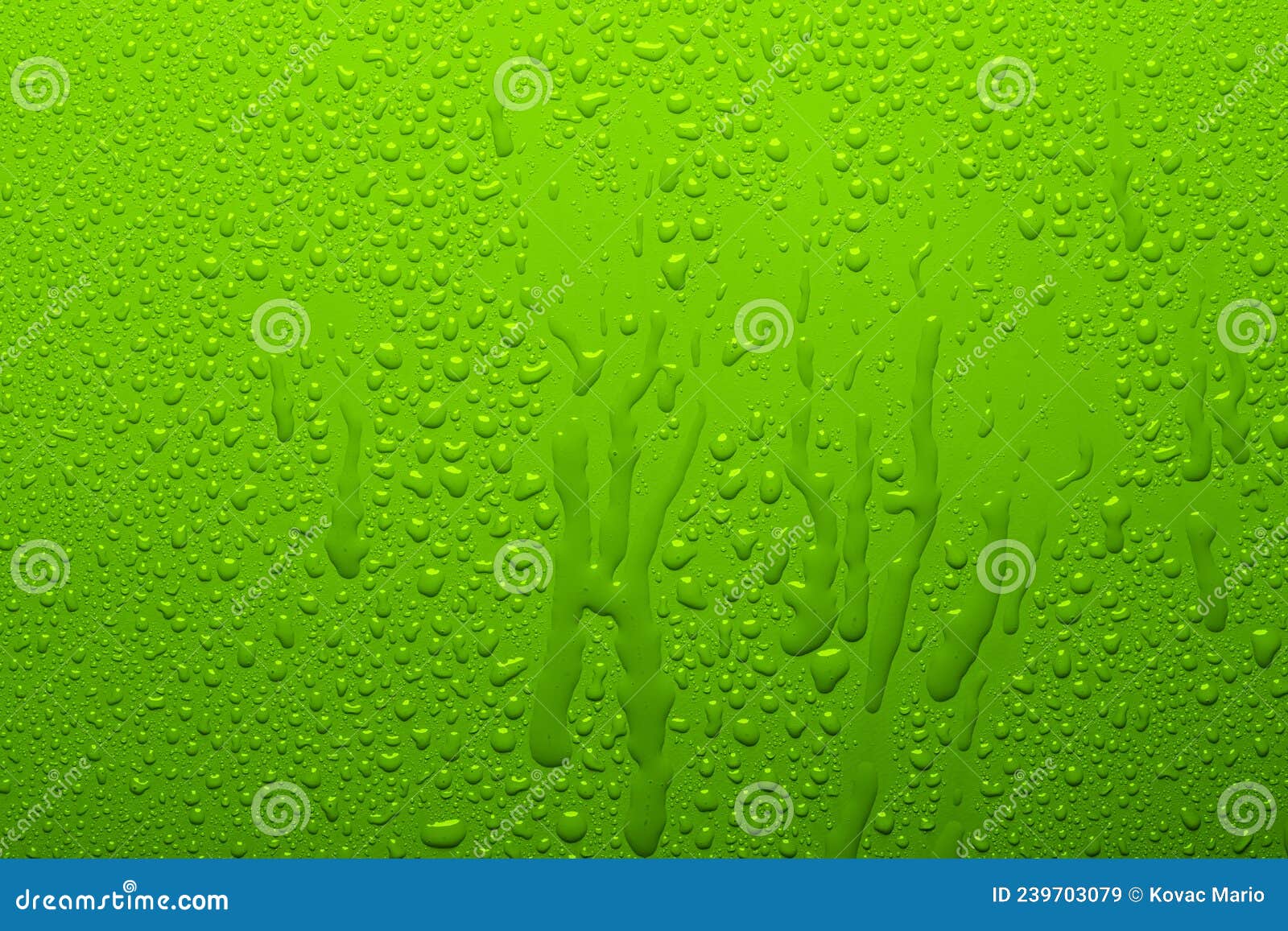 Water Drops on Green Color Surface Stock Image - Image of liquid, clear ...