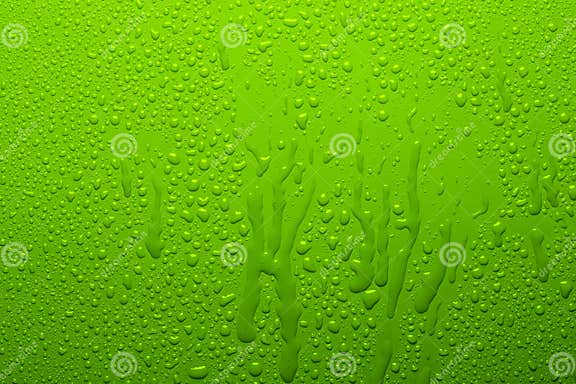 Water Drops on Green Color Surface Stock Image - Image of liquid, clear ...