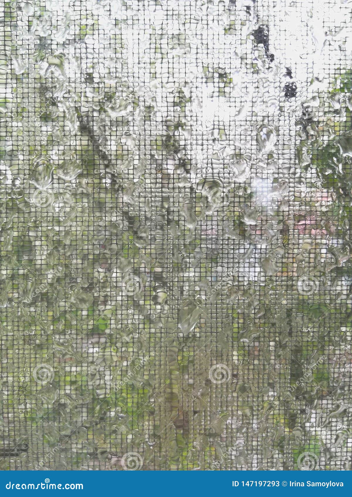 Water Drops on the Grid after the Summer Rain Macro Background Texture ...