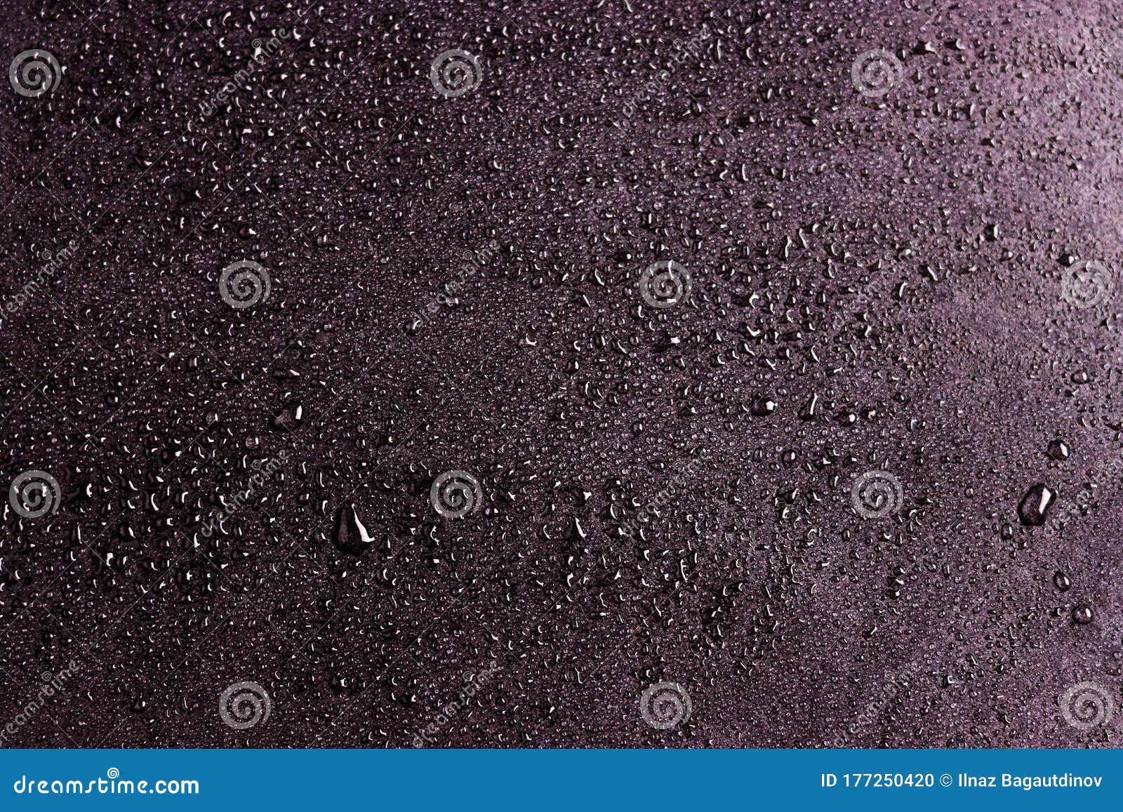 Water Drops Isolated on a Black Background Stock Photo - Image of ...