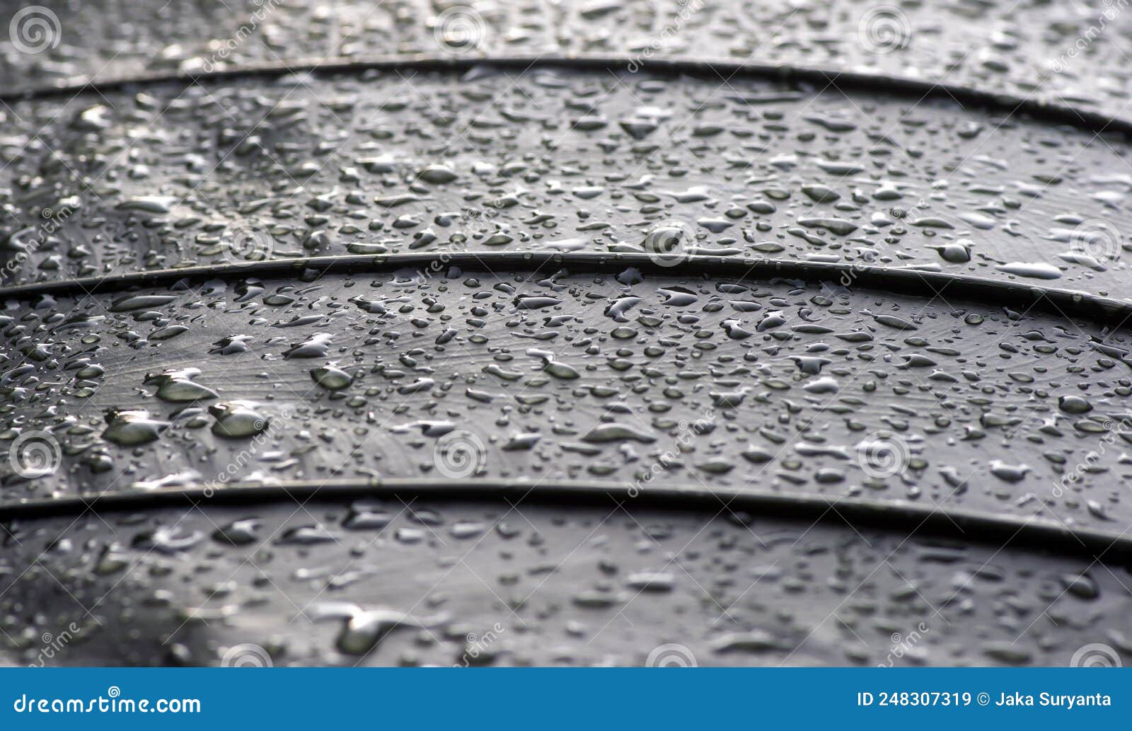 Water Drops on a Leaf Surface, in Shallow Focus Stock Image - Image of ...