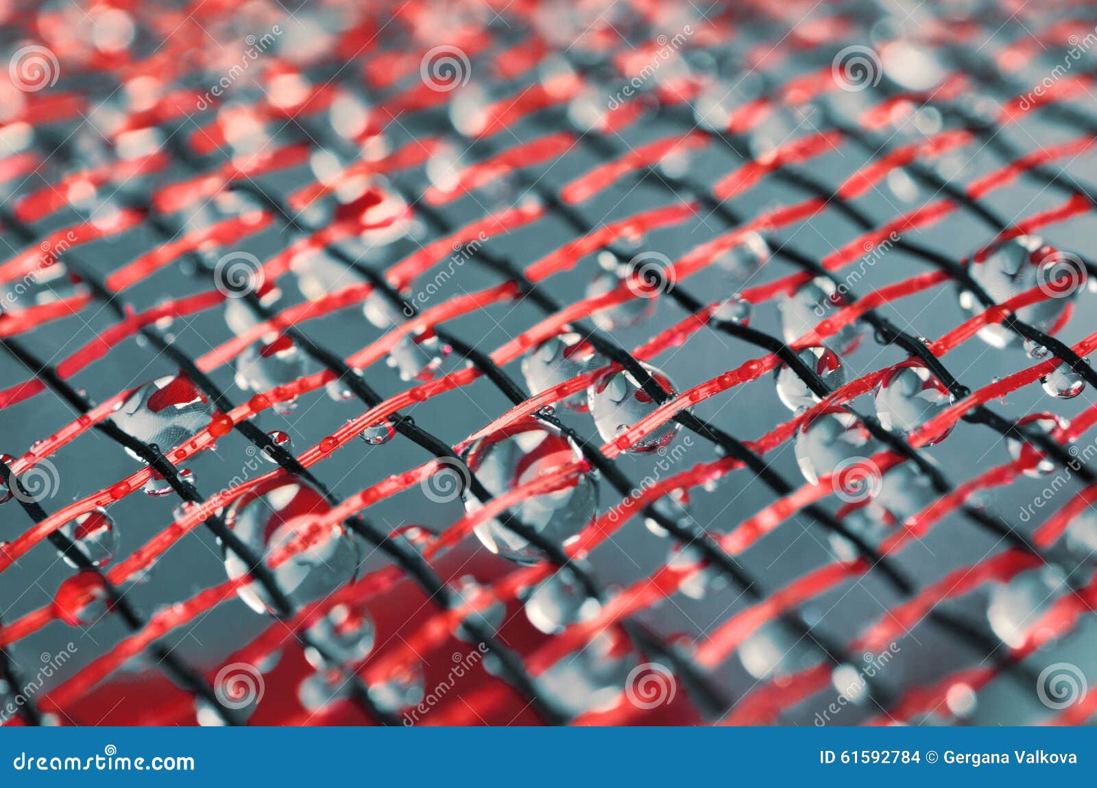 Water drops and mesh stock photo. Image of window, macro - 61592784