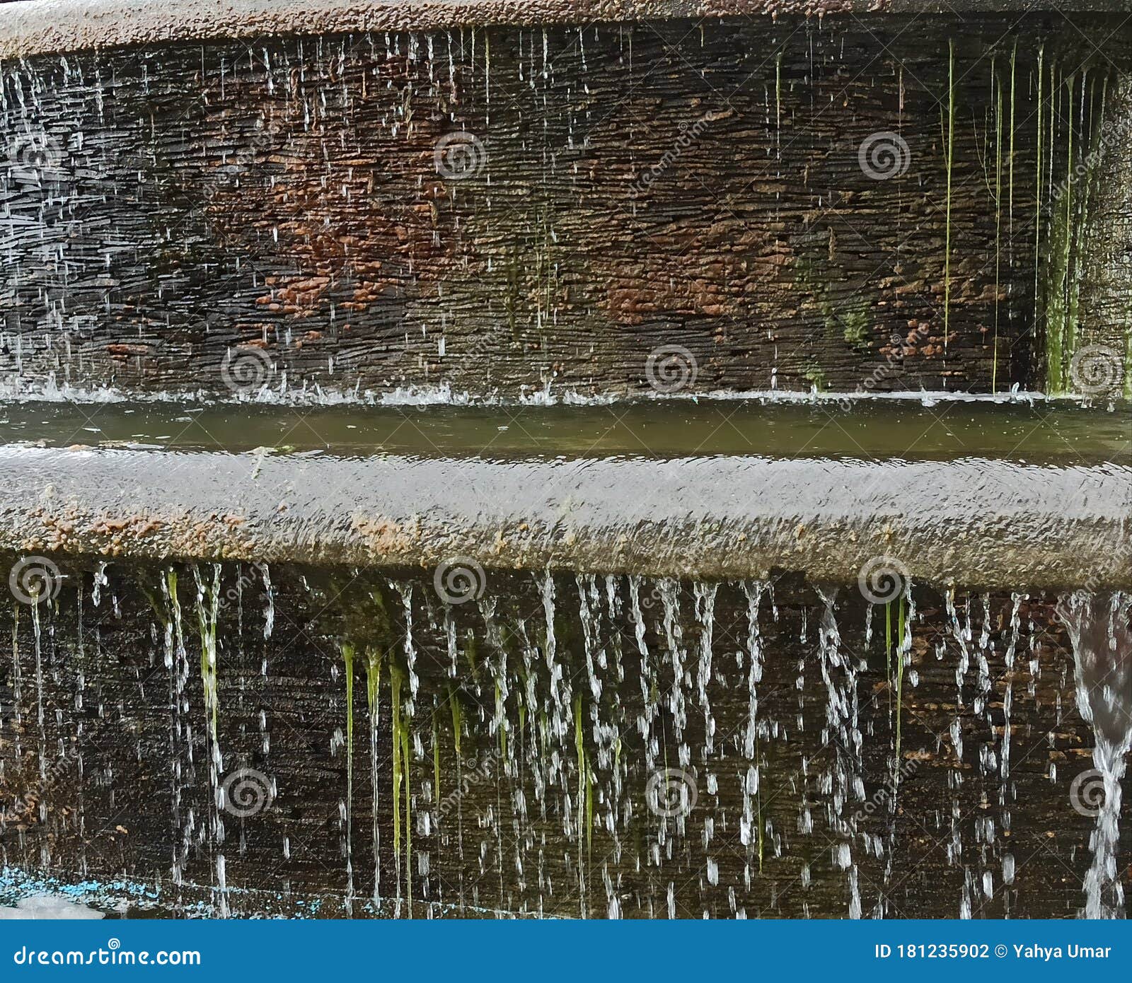 Water drops in the park stock photo. Image of water - 181235902