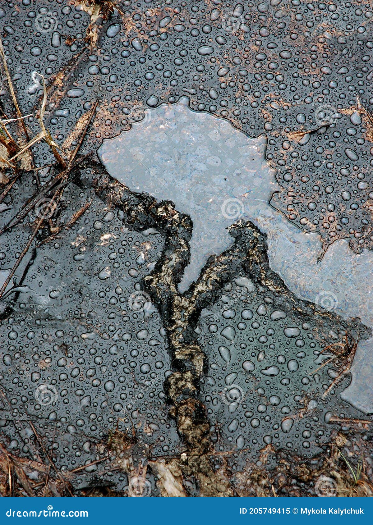 Water Drops on the Petroleum Surface Stock Image - Image of phials ...