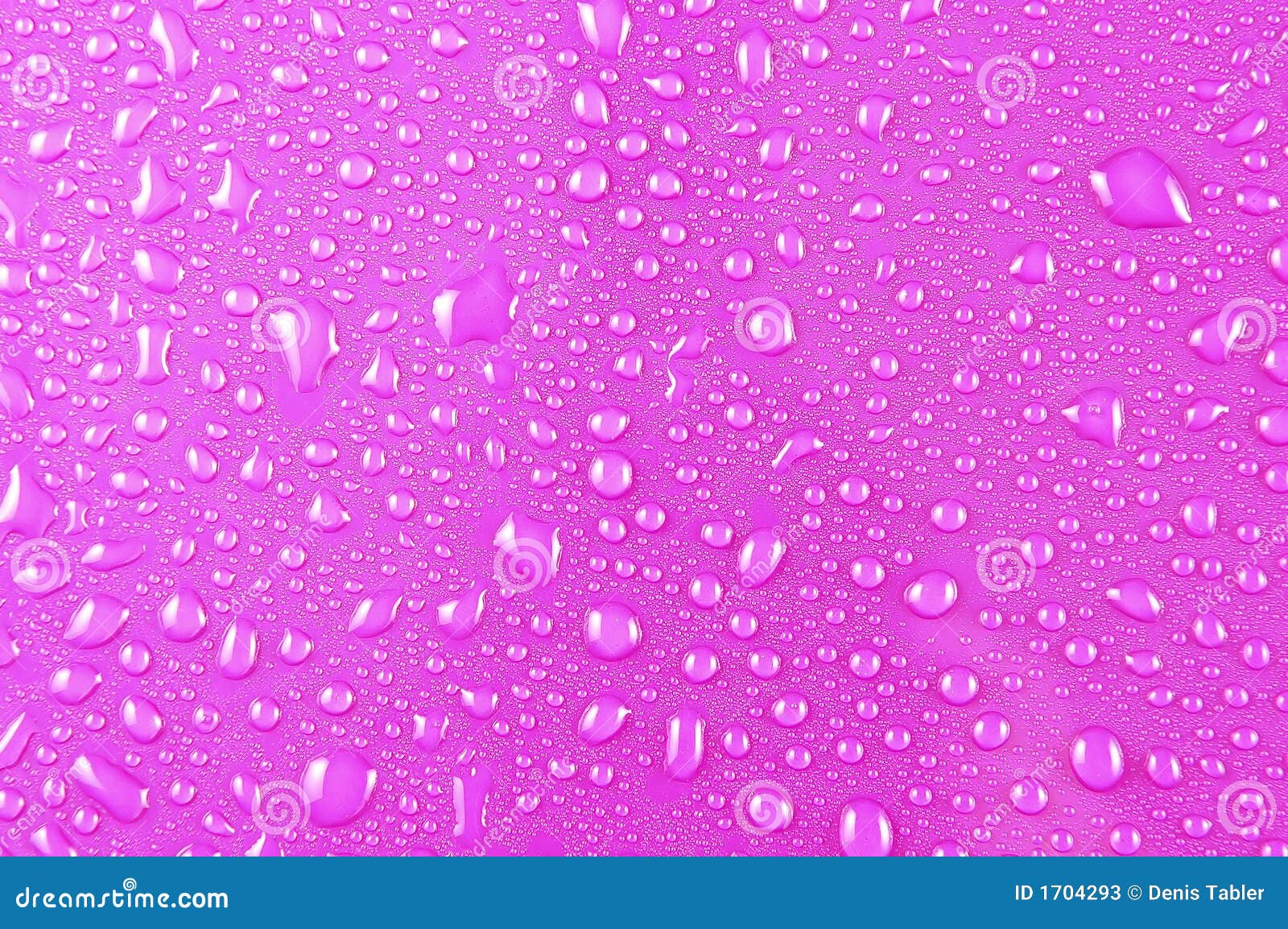 Water drops on pink stock image. Image of macro, glisten - 1704293