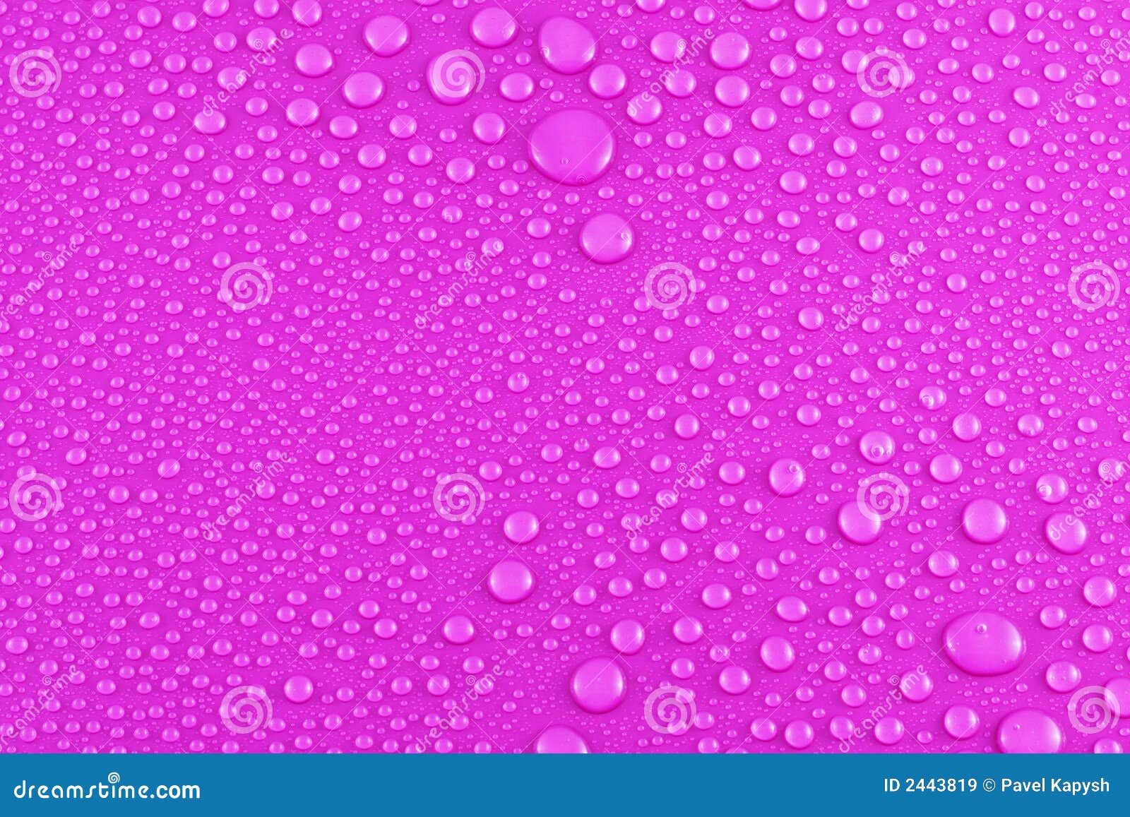 Water Drops on Pink stock image. Image of backgrounds - 2443819