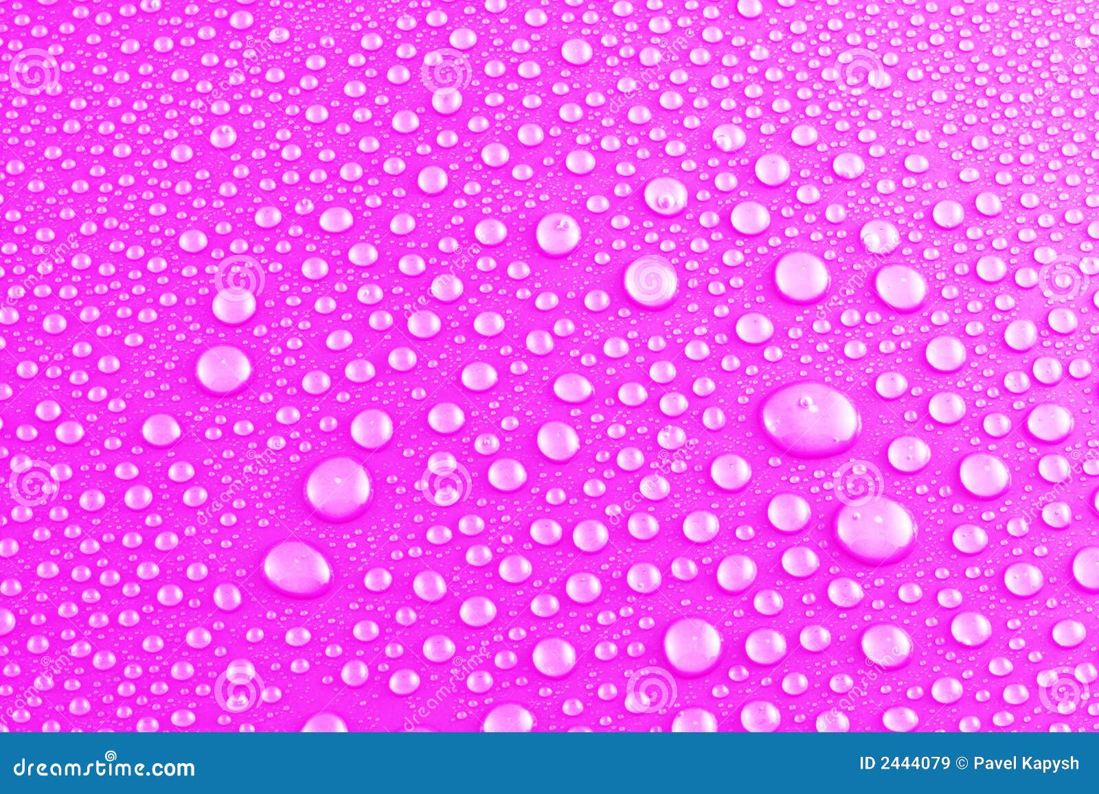 Water Drops on Pink stock image. Image of effect, light - 2444079