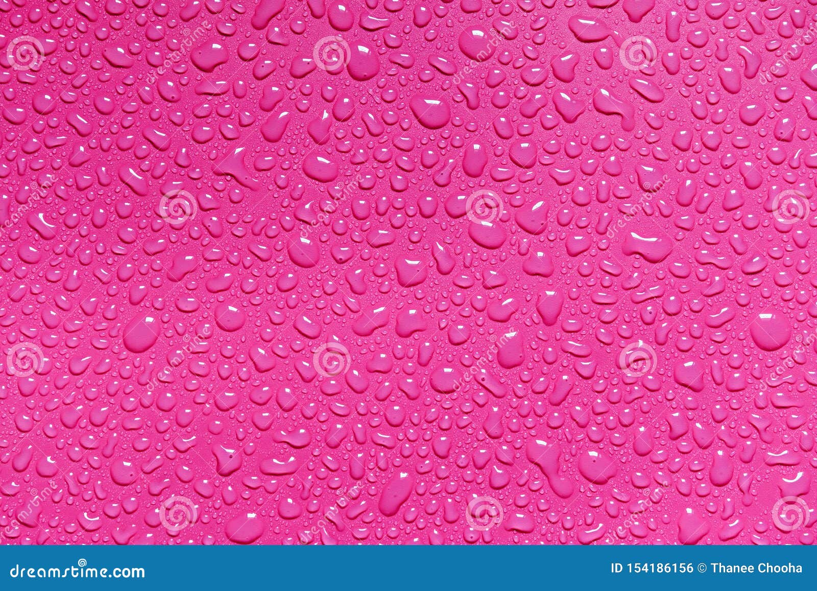 Water Drops on Pink Background, for Design and Pattern Background Stock ...