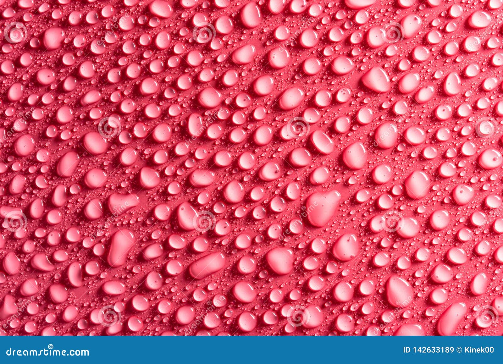 Water Drops on a Pink, Matte Background Illuminated with a Delicate ...