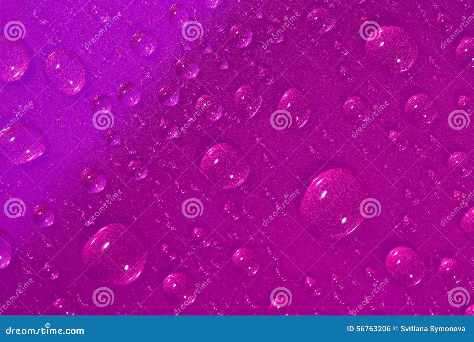 Transparent Pink Drops Vector Illustration | CartoonDealer.com #92994718