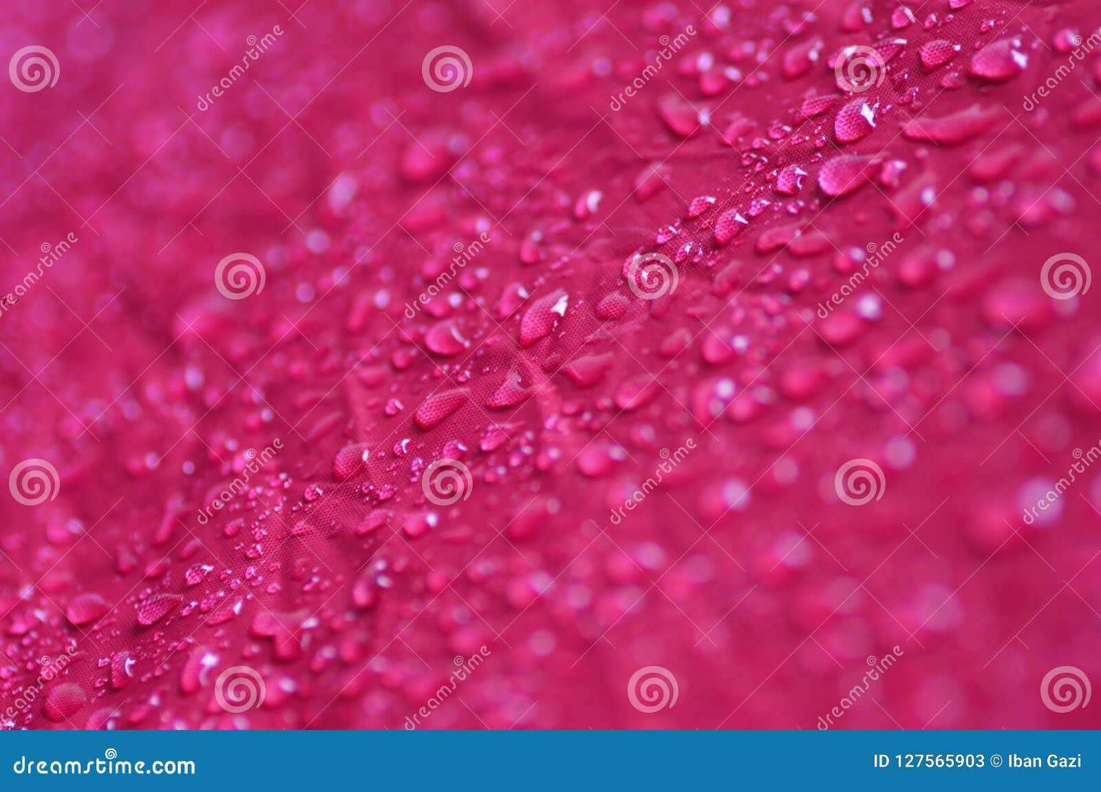 Water Drops on Pink Surface Stock Image - Image of environment ...