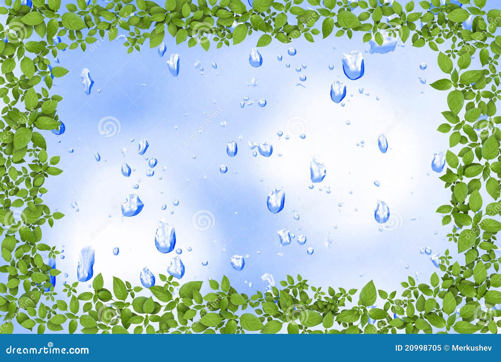 Water Drops And Plant Frame Royalty Free Stock Photo - Image: 20998705