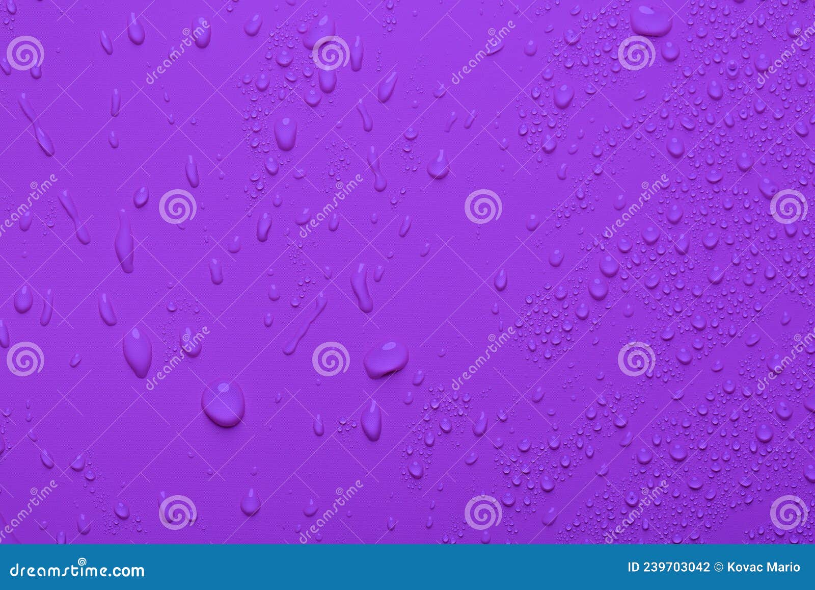 Water Drops on Purple Color Surface Stock Photo - Image of droplet ...