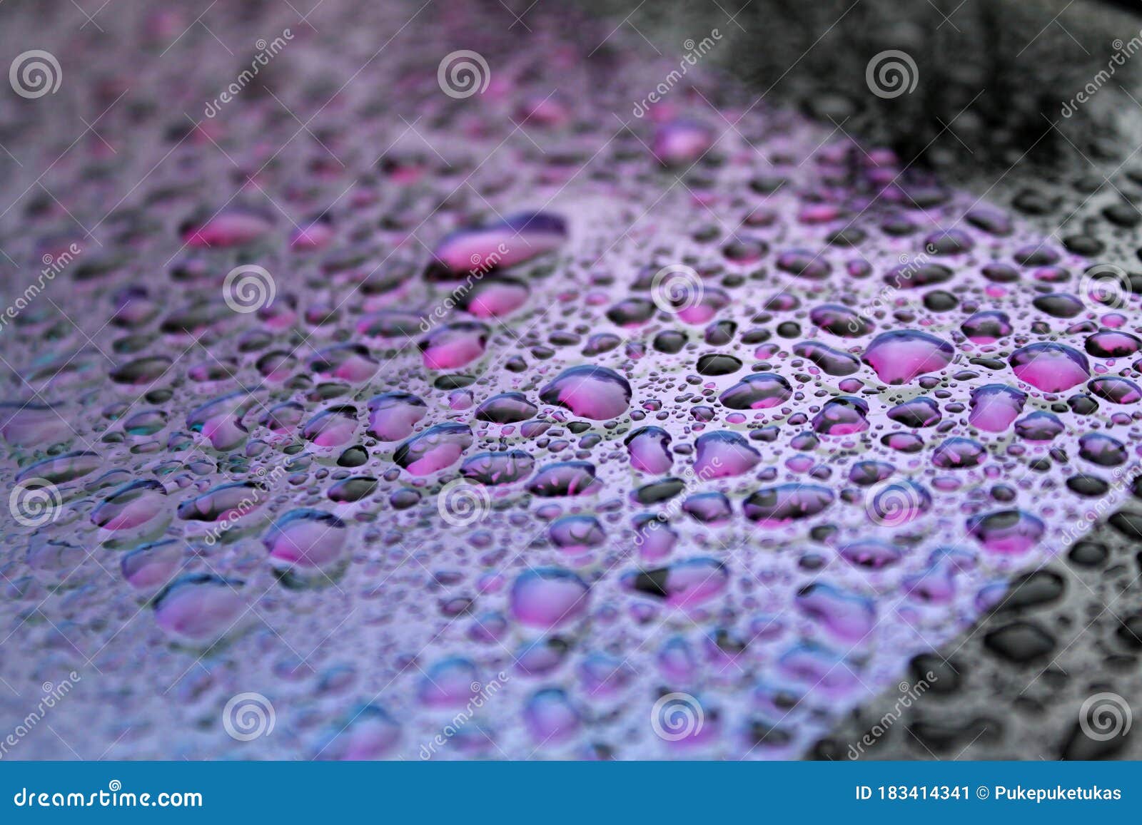 Water Drops Purple Reflection Rain Stock Image - Image of purple, drops ...