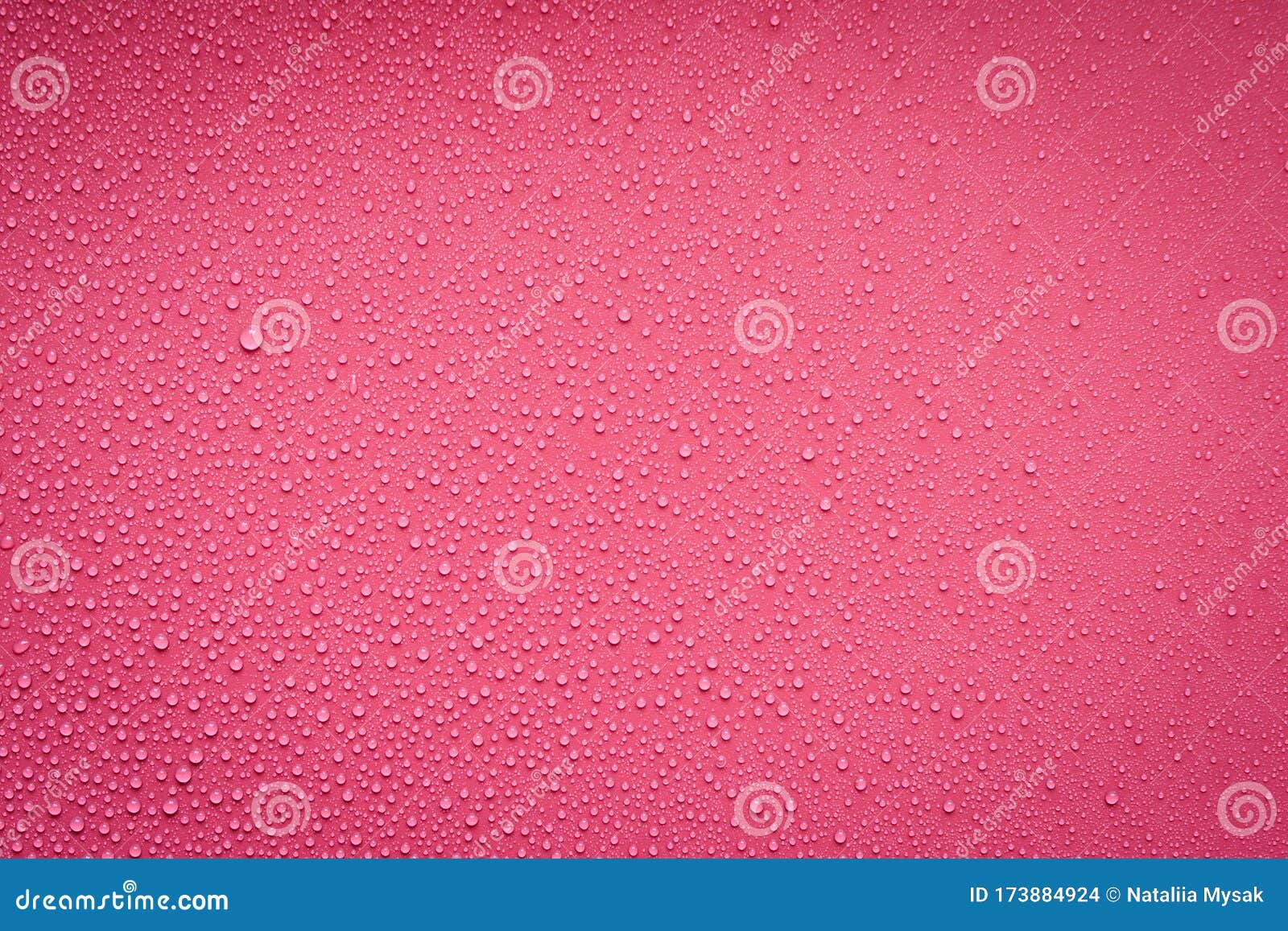Water Drops on Red stock photo. Image of background - 173884924