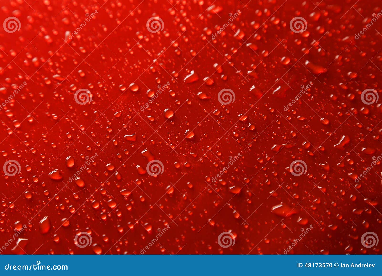 Water Drops on Red Background, Close Up Stock Photo - Image of rain ...