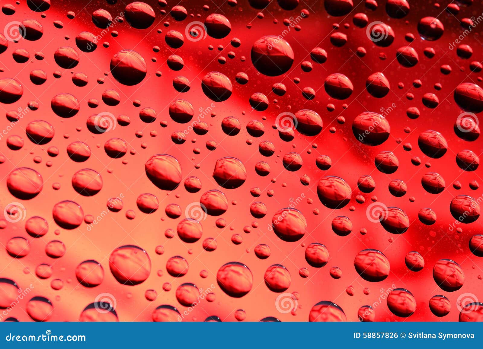 Water Drops on Red Background Stock Photo - Image of raindrop, liquid ...