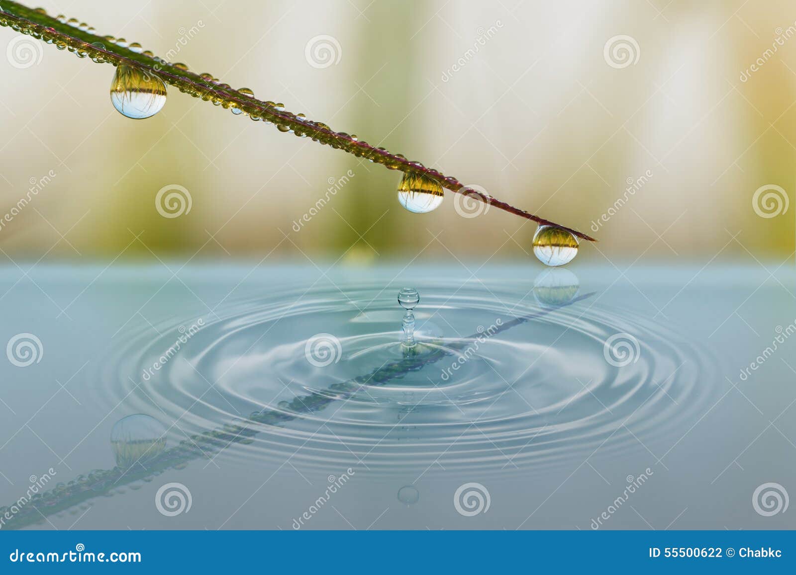 Water Drops with Reflection Shadow in Water Stock Photo - Image of ...