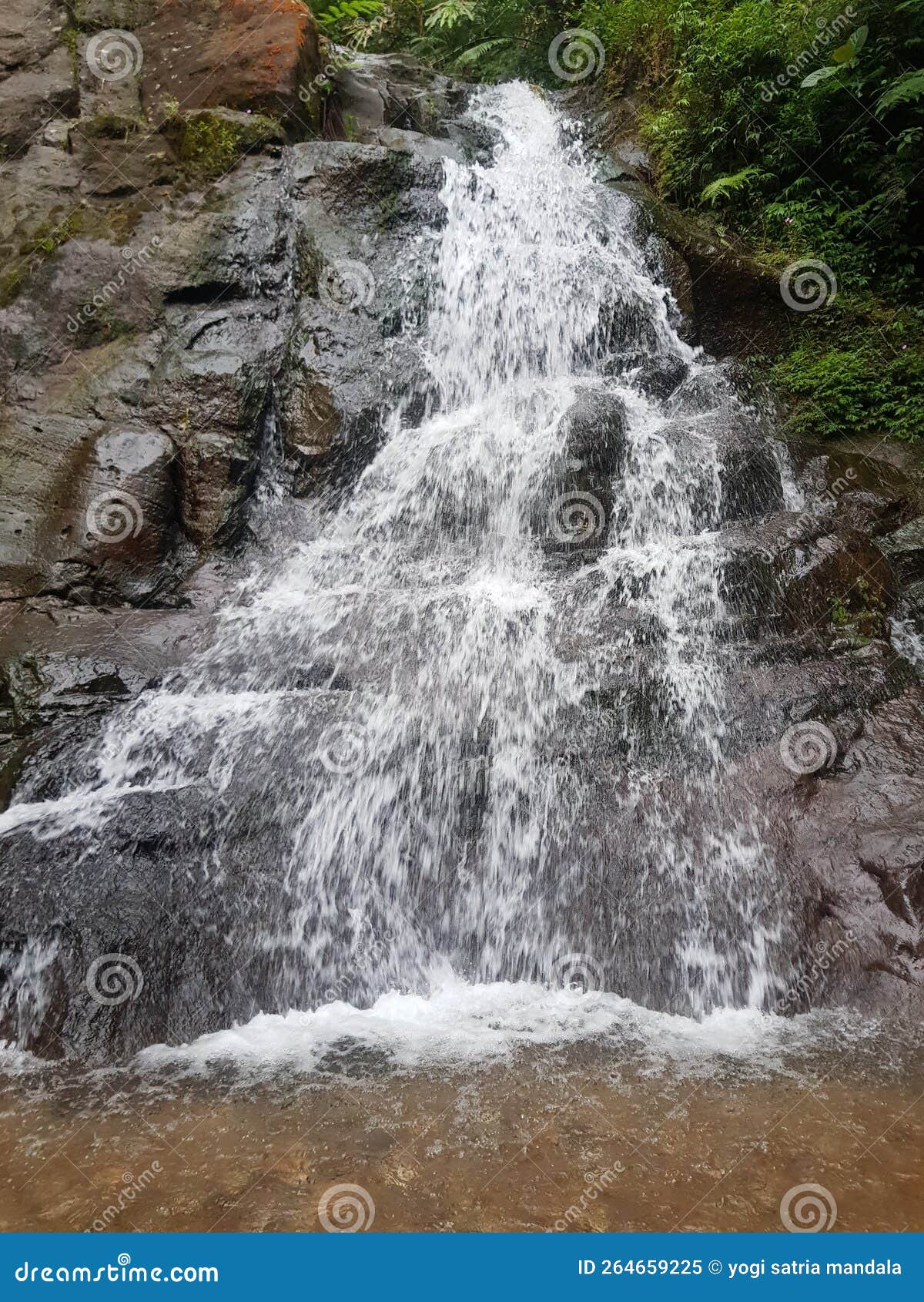 Water that Drops on the Rocks from a Spring Stock Image - Image of ...