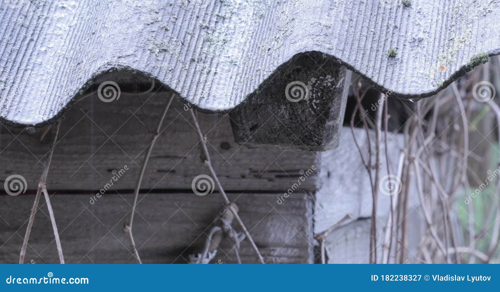 Water Drops from the Roof of the House Stock Video - Video of asian ...