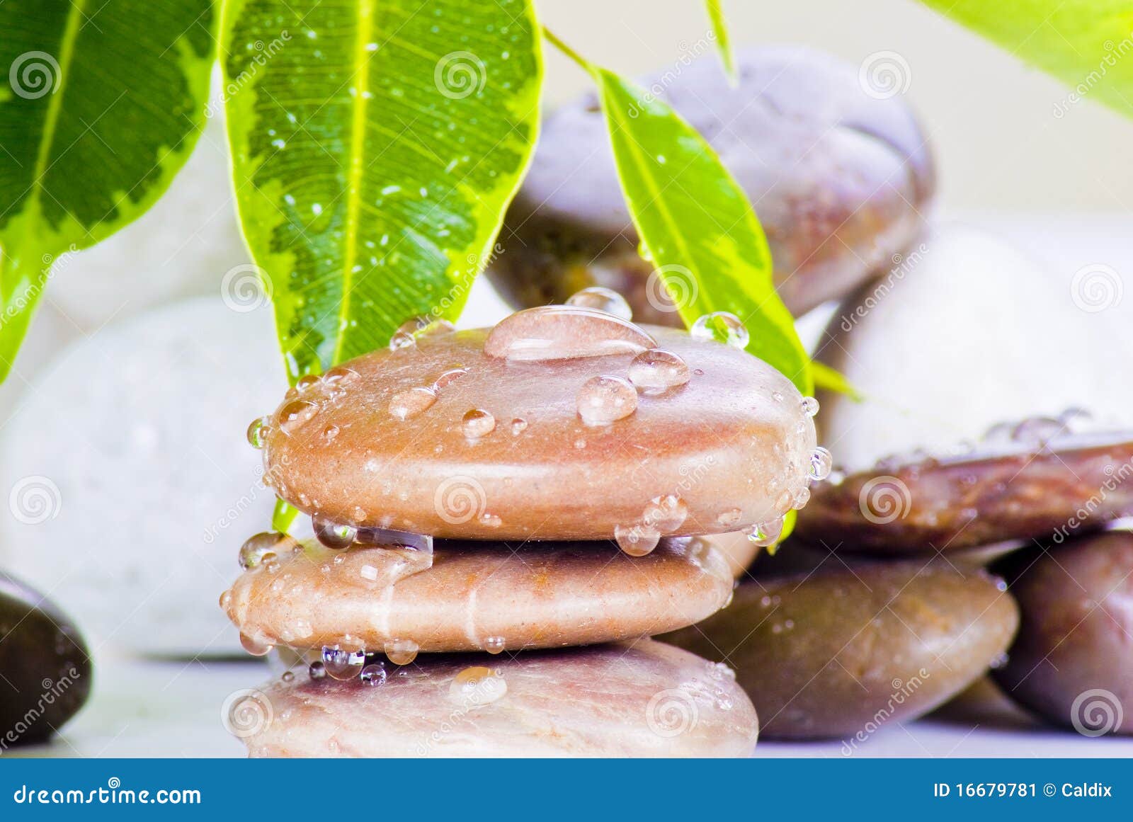 Water drops on stones stock image. Image of peace, alternative - 16679781