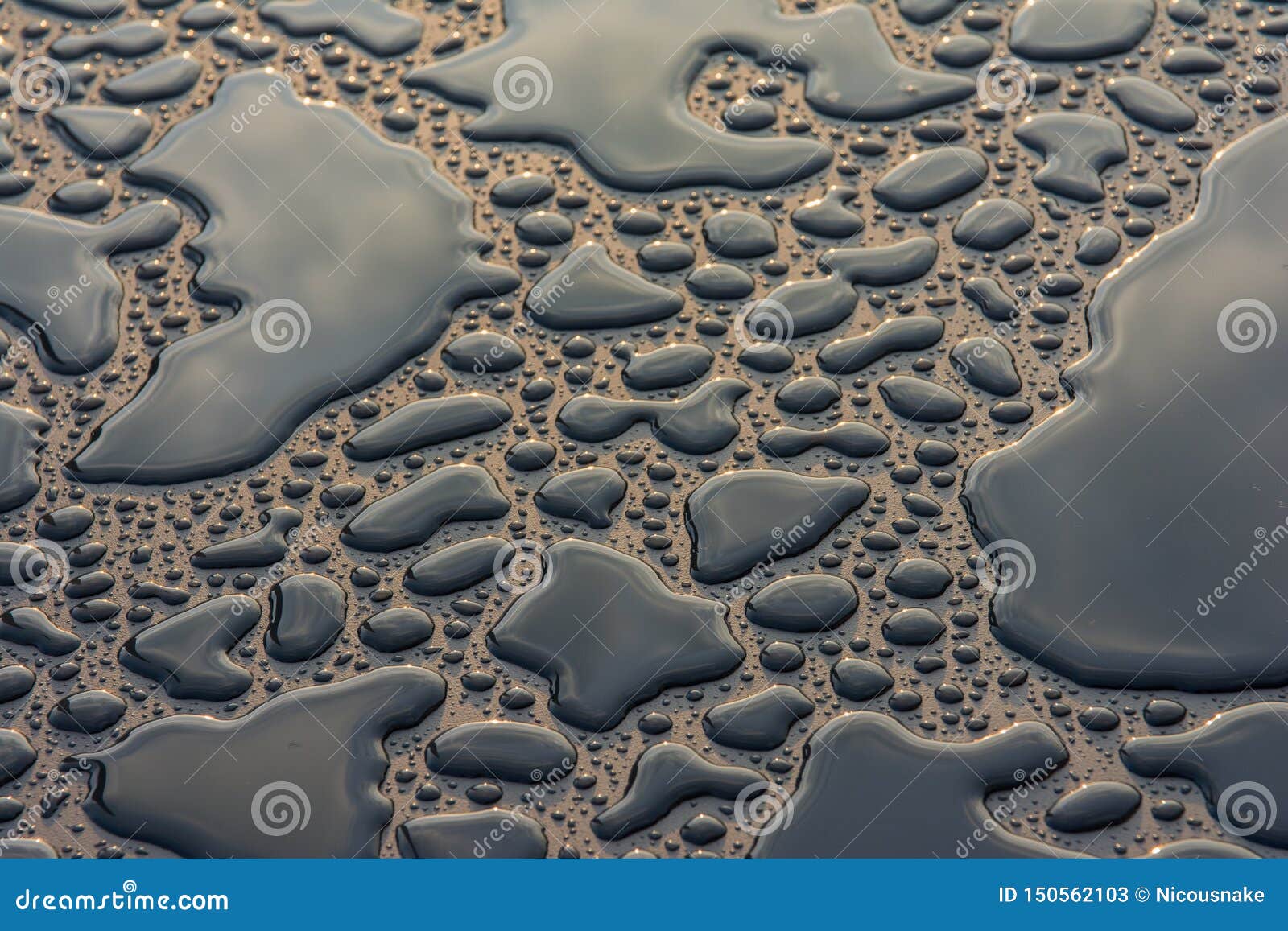 Water drops with sunlight stock image. Image of liquid - 150562103