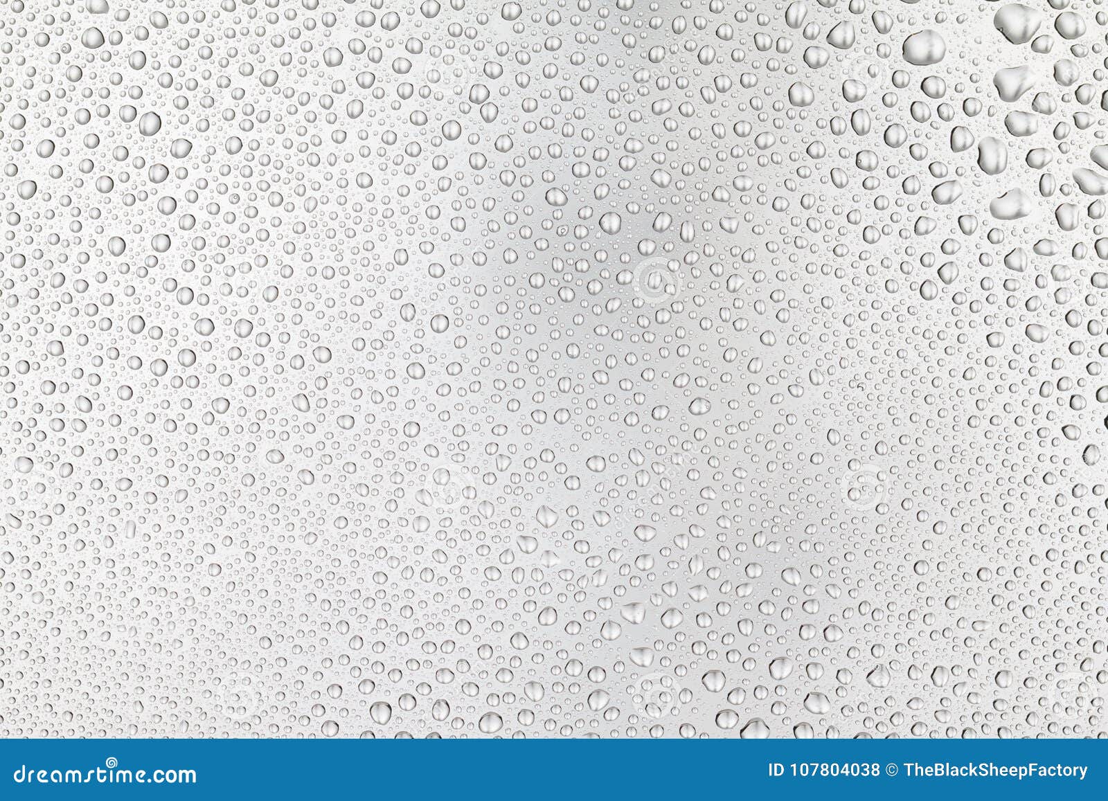 Water drops texture stock photo. Image of moisture, water - 107804038