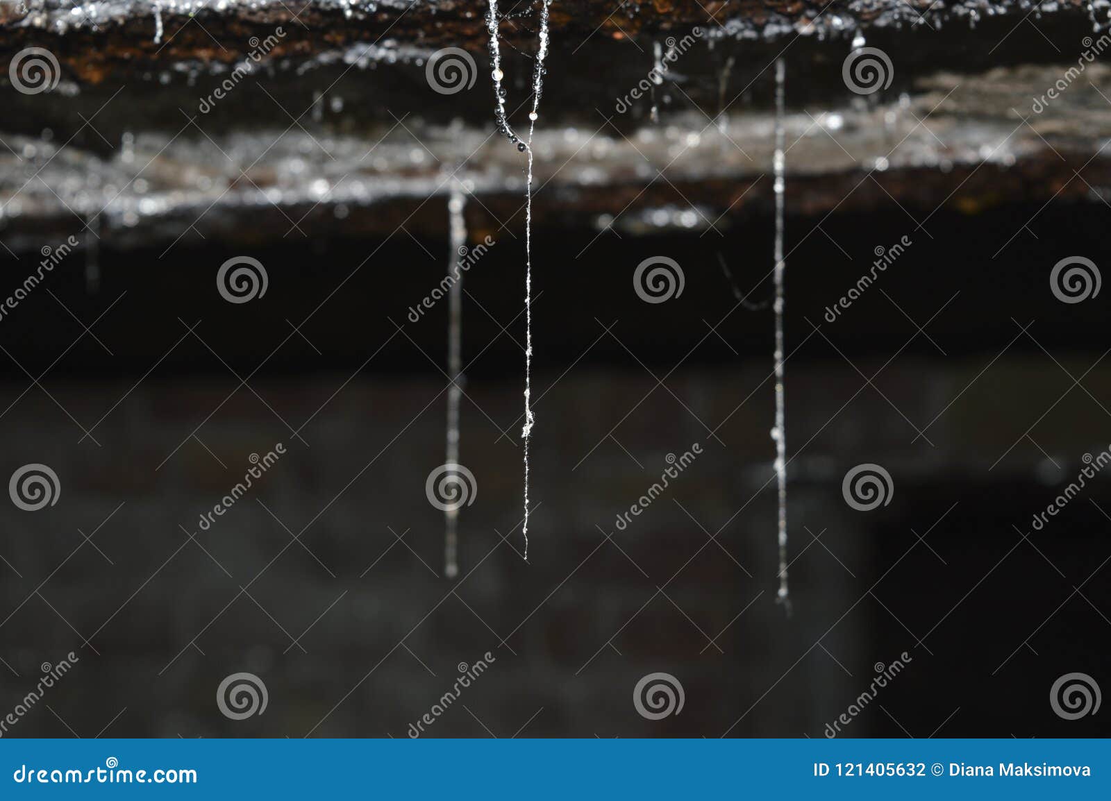 Water Drops on the Threads. Stock Photo - Image of threads, grey: 121405632