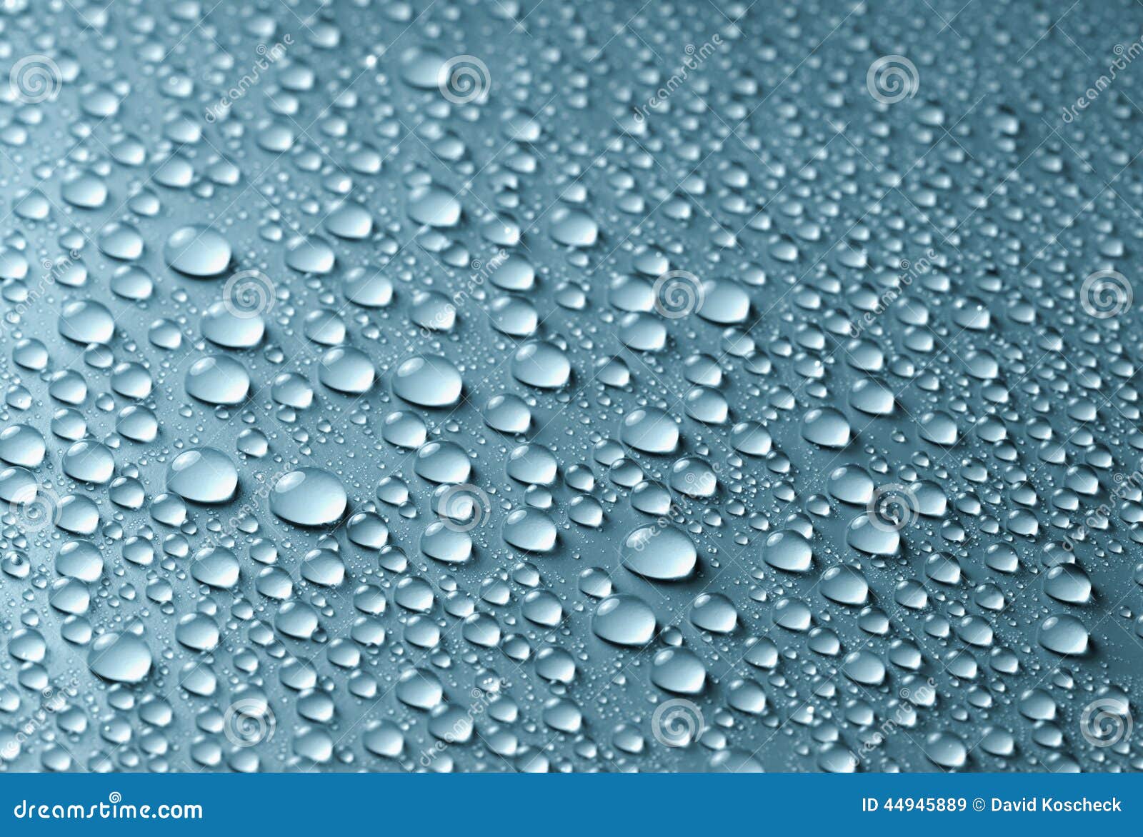 Water drops stock image. Image of drops, cool, moist - 44945889