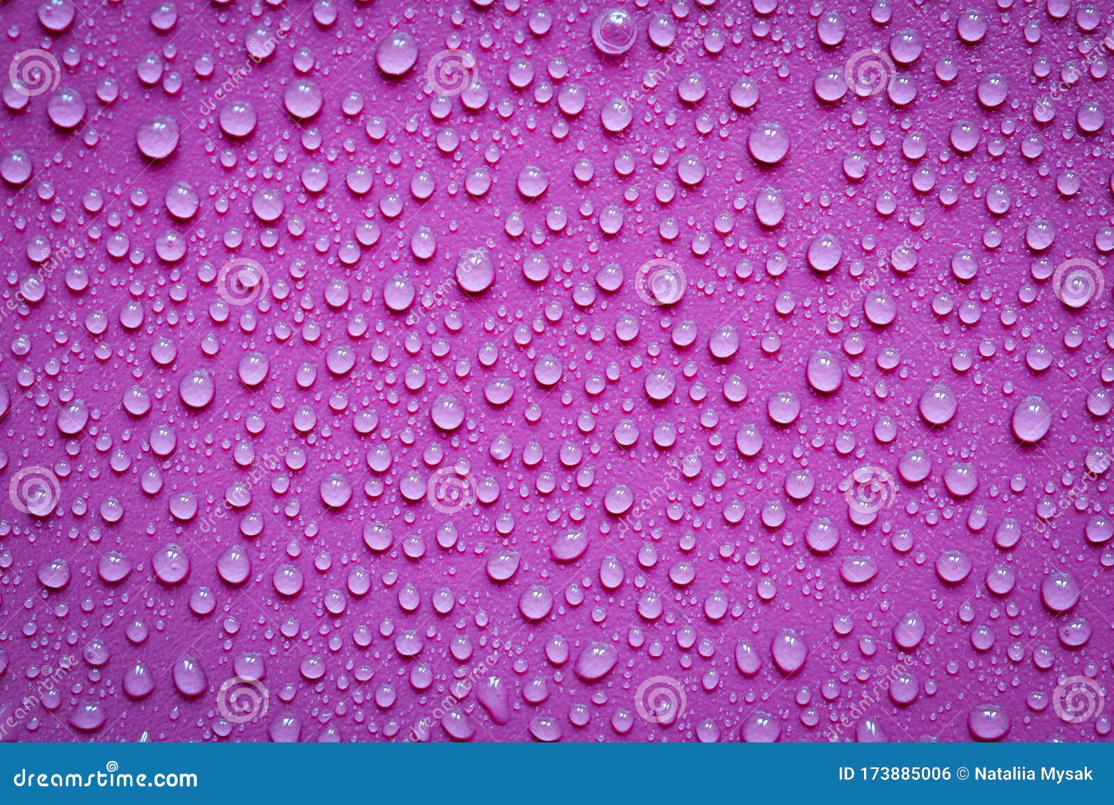 Water Drops on Violet stock photo. Image of liquid, purple - 173885006
