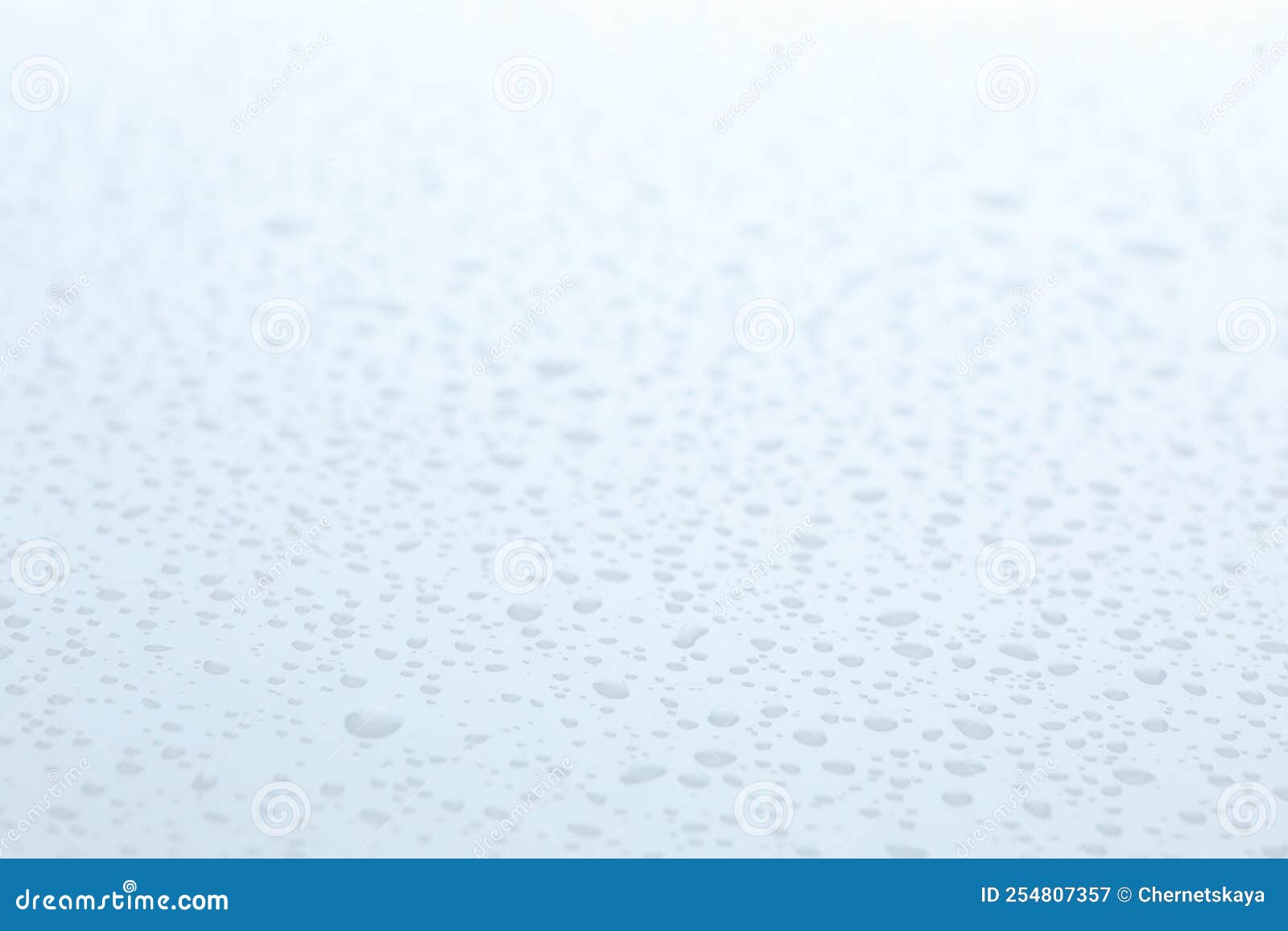 Water Drops on White Background, Closeup View Stock Image - Image of ...