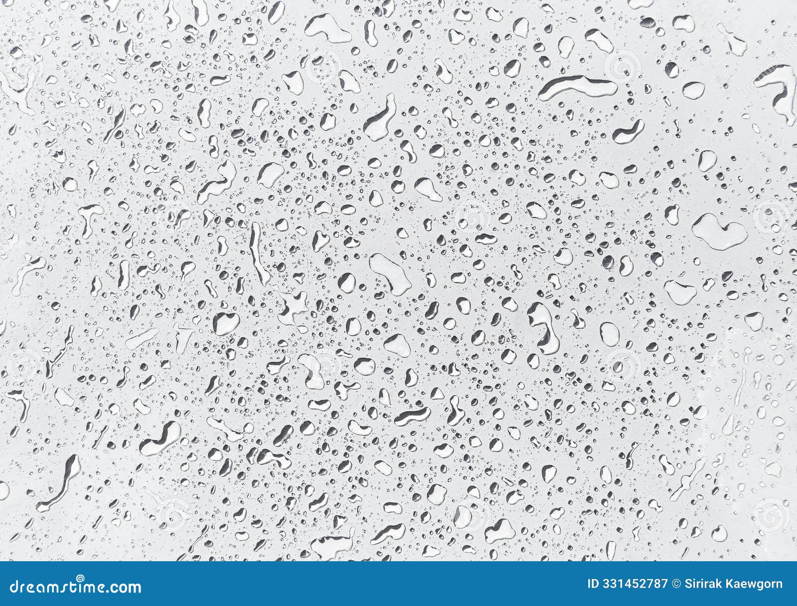 Water Drops on White Background Stock Image - Image of white, healthy ...