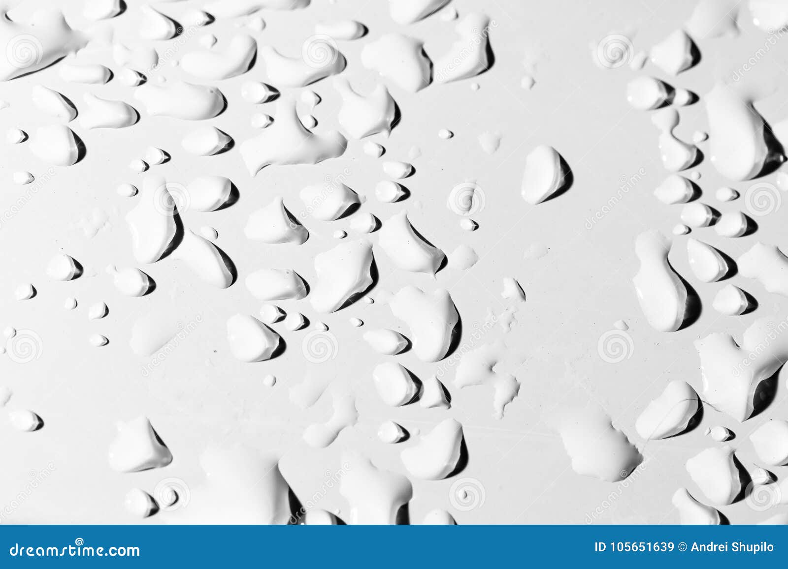 Water Drops on a White Background Stock Image - Image of background ...