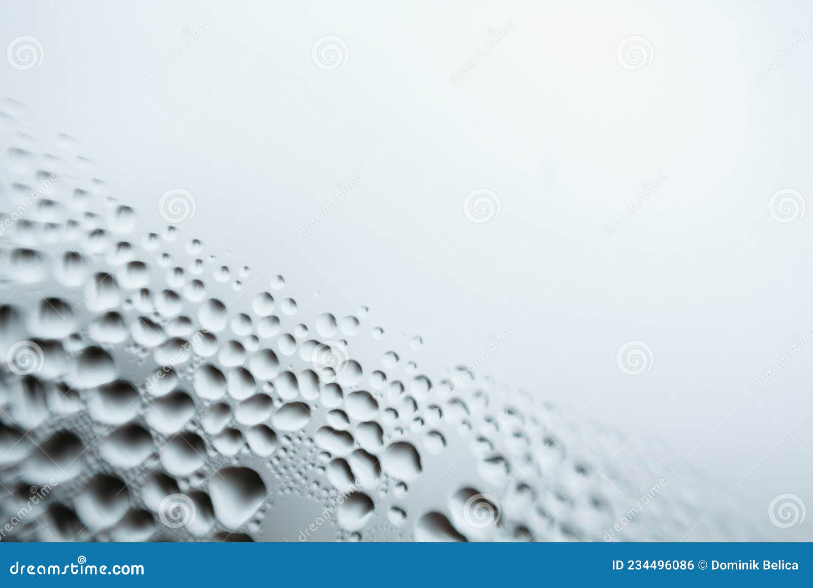 Water Drops on White Background Texture Stock Photo - Image of leaf ...