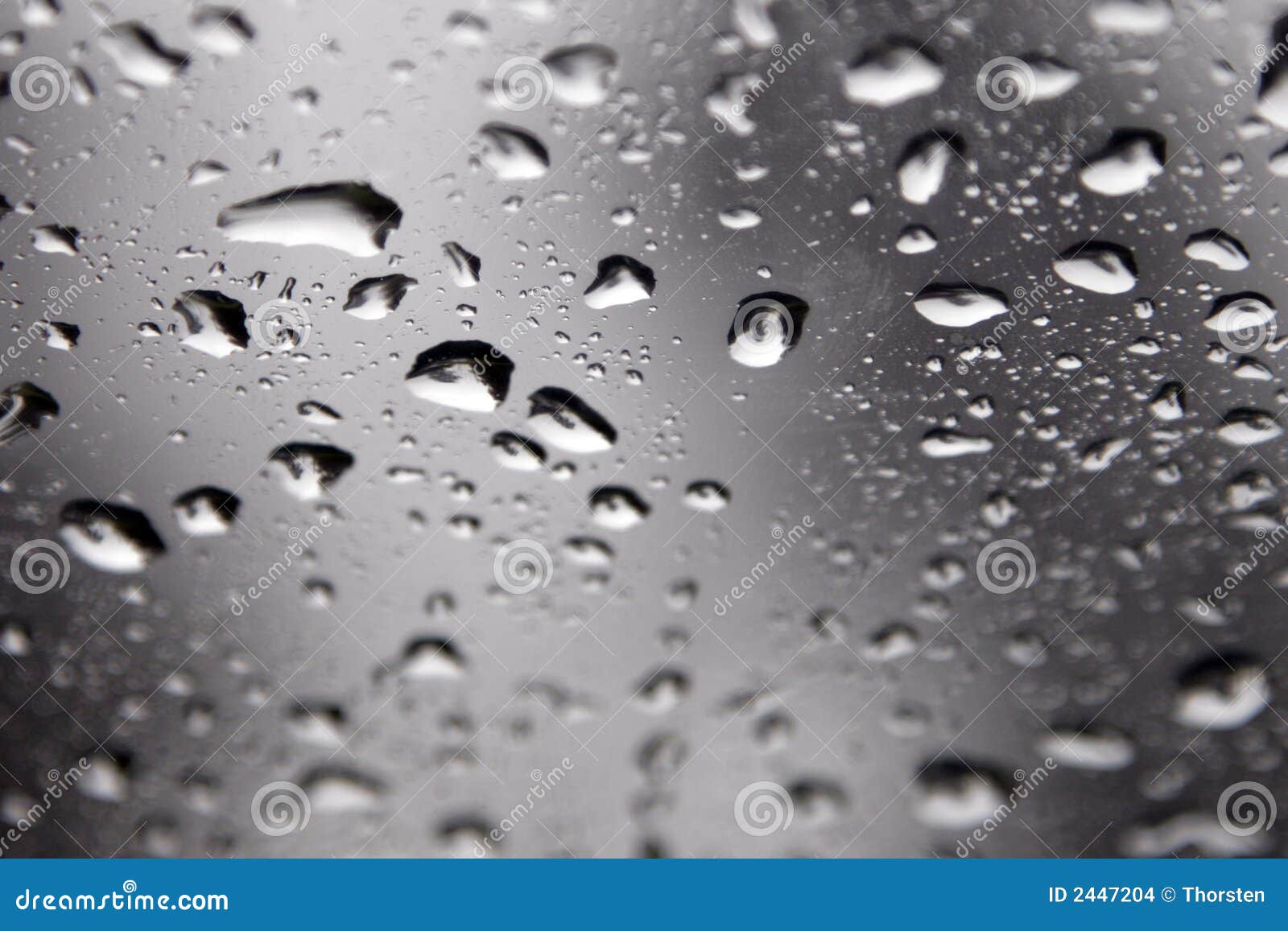 Water Drops on a Window stock photo. Image of rain, closeup - 2447204
