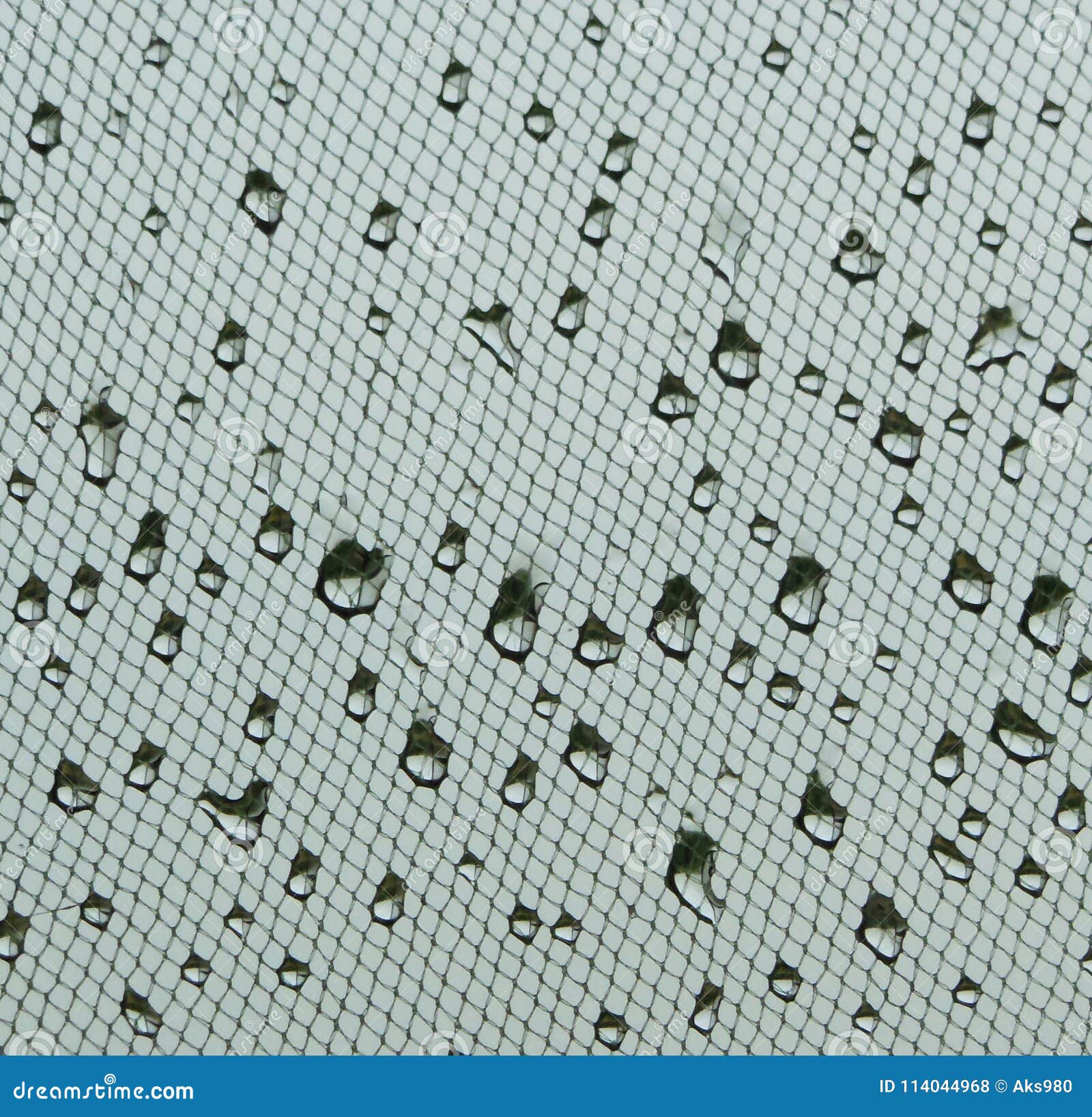 Water Drops on Window Net Mesh with Cloudy Sky on Background Stock ...