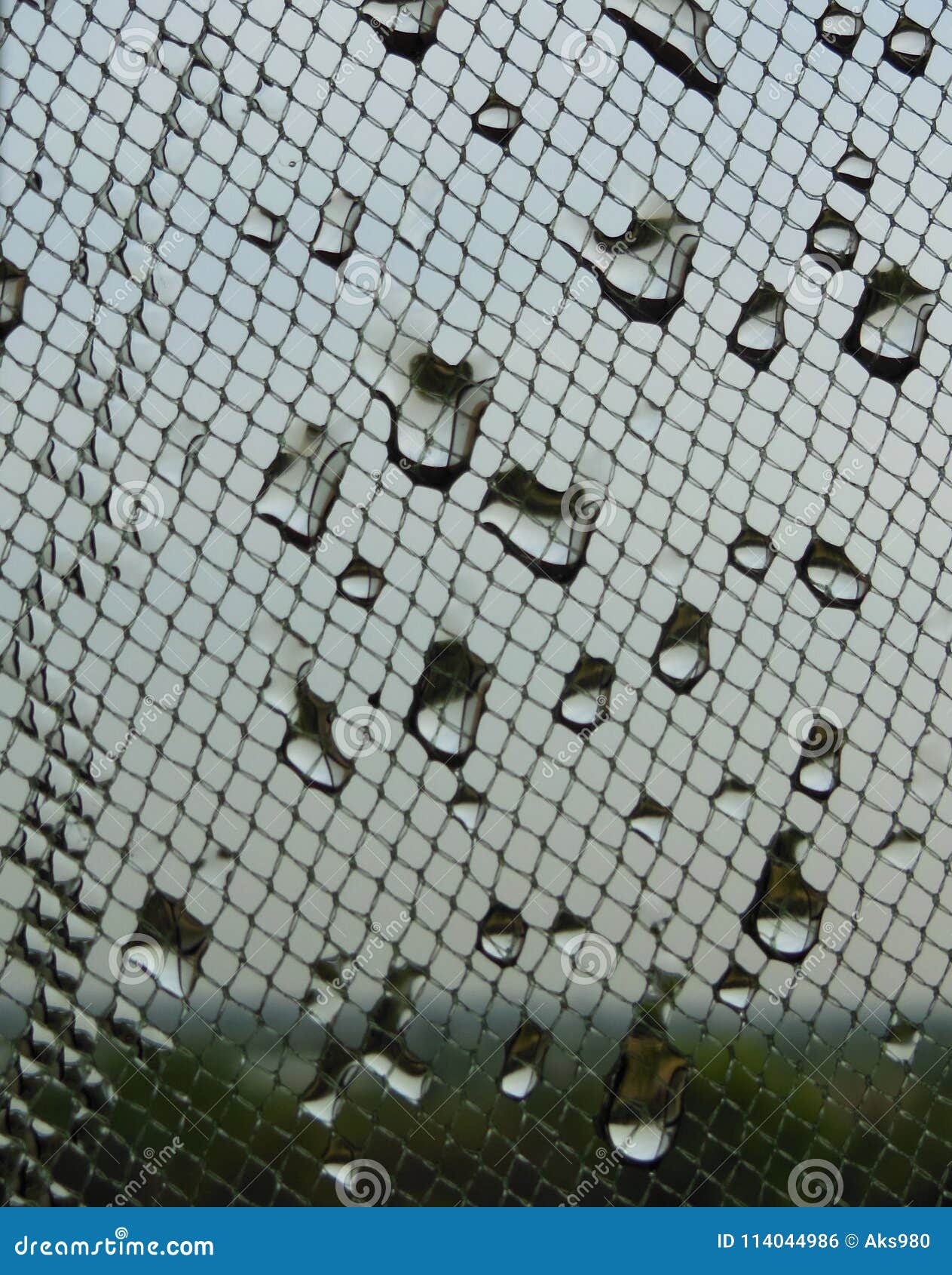 Water Drops on Window Net Mesh with Cloudy Sky on Background Stock ...